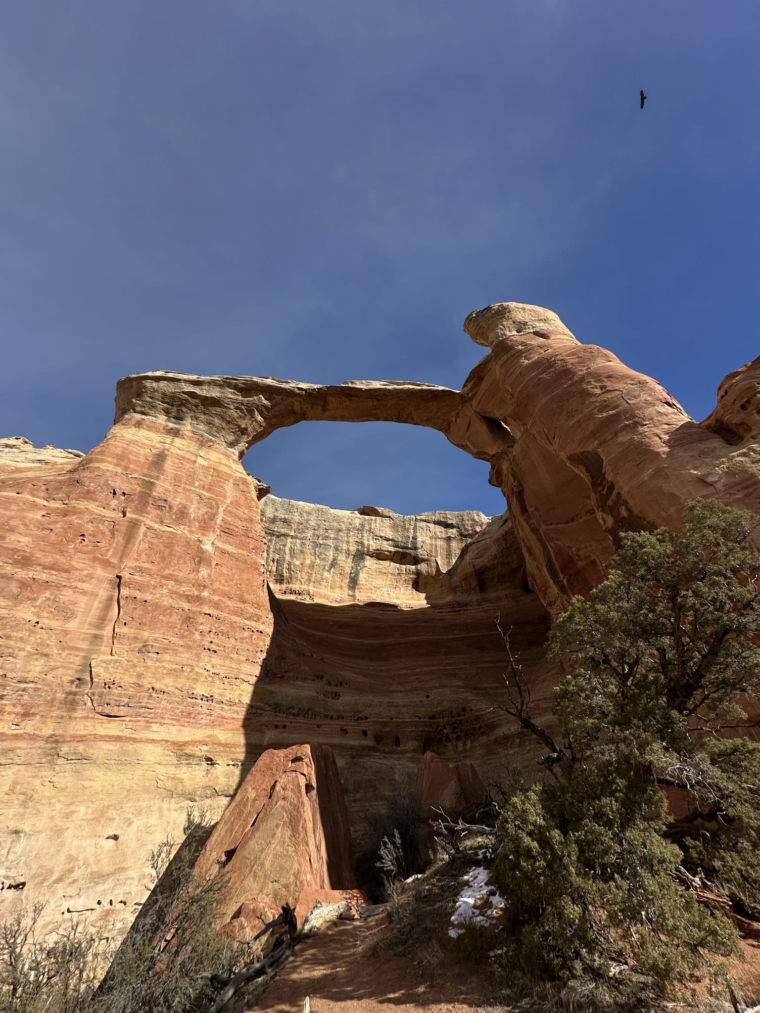 Rattlesnake Canyon Arches Colorado Hike Guide - Virtual Sherpa