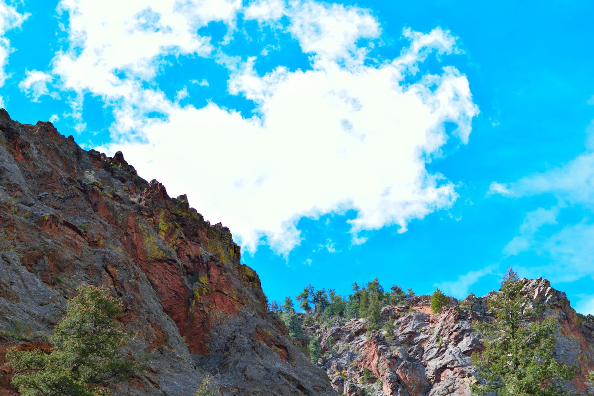 Columbine Trail Colorado Hike Guide - Virtual Sherpa