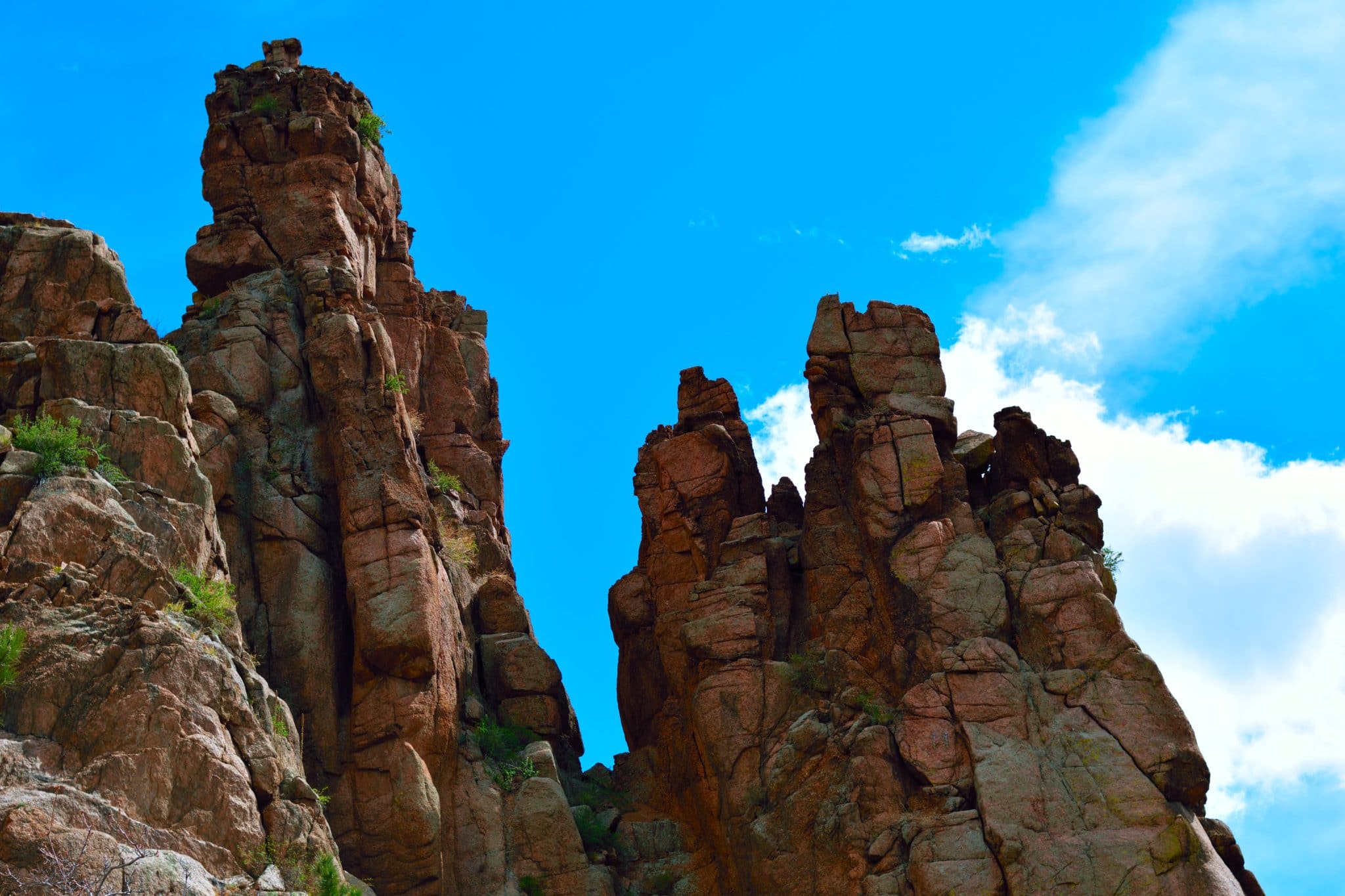 Columbine Trail Colorado Hike Guide - Virtual Sherpa
