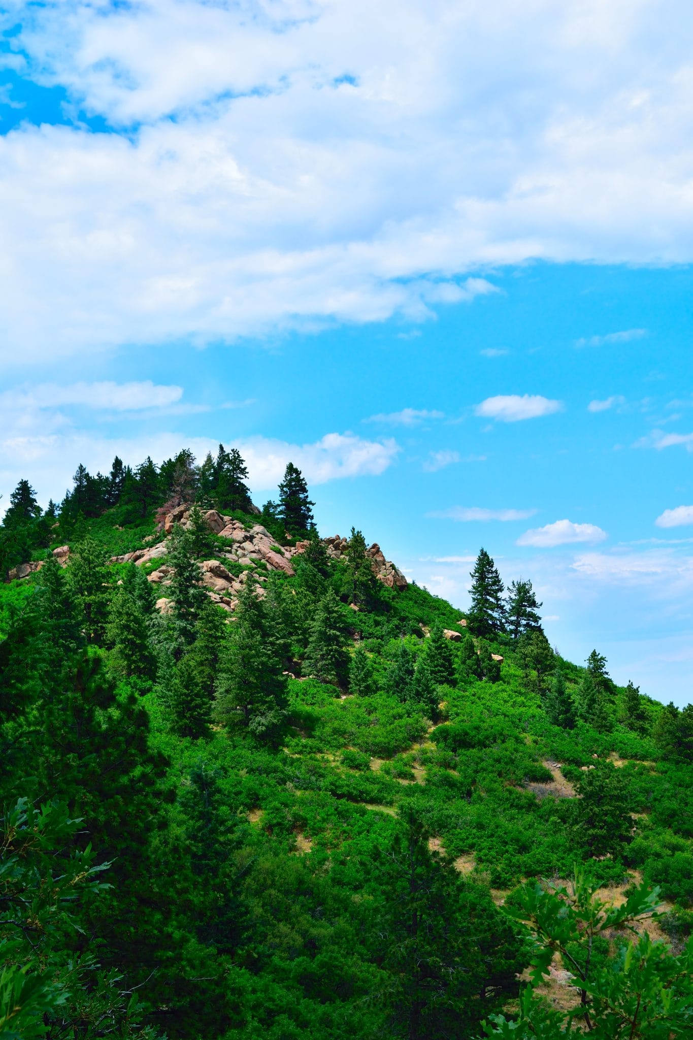 Carpenter Peak Colorado Hike Guide - Virtual Sherpa