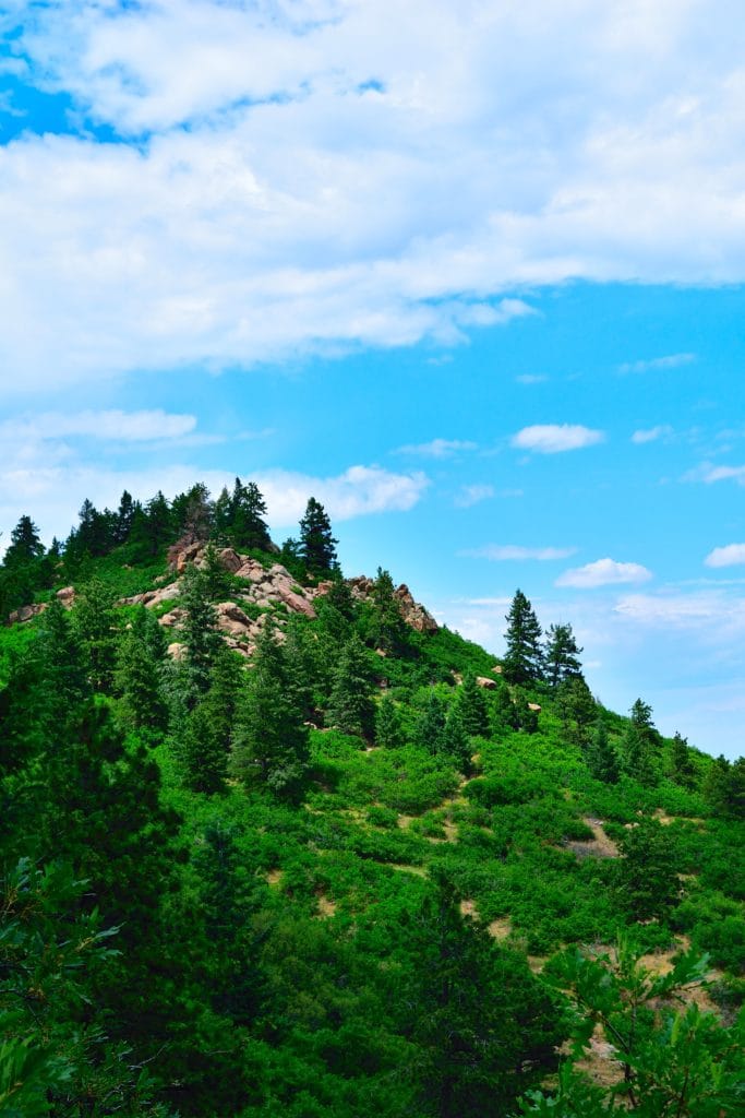 Carpenter Peak Colorado Hike Guide - Virtual Sherpa