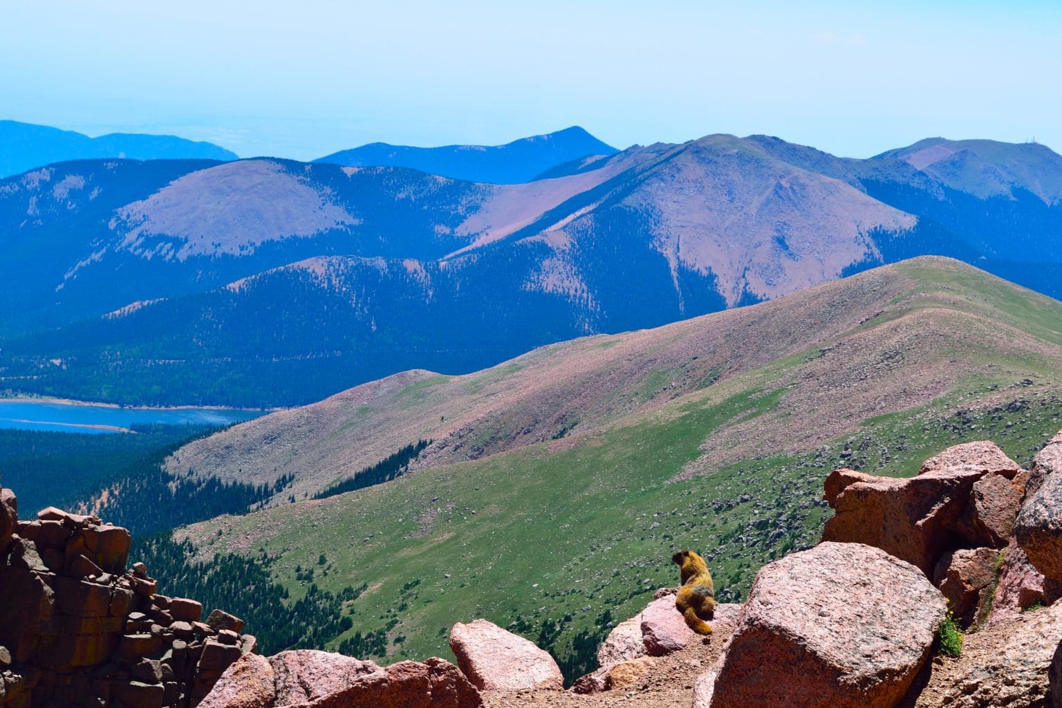 Pikes Peak via Barr Trail 14er Hike Guide - Virtual Sherpa