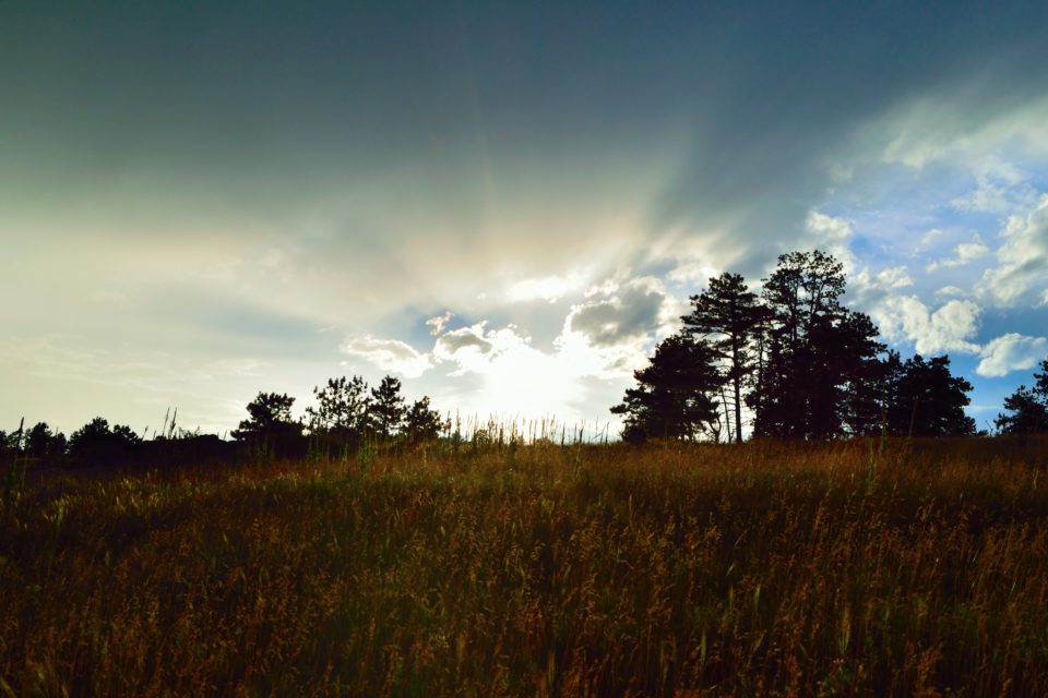 Mt Falcon Colorado Hiking Trail Guide - Virtual Sherpa