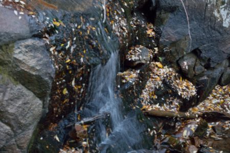 Maxwell Falls Colorado Hike Guide - Virtual Sherpa