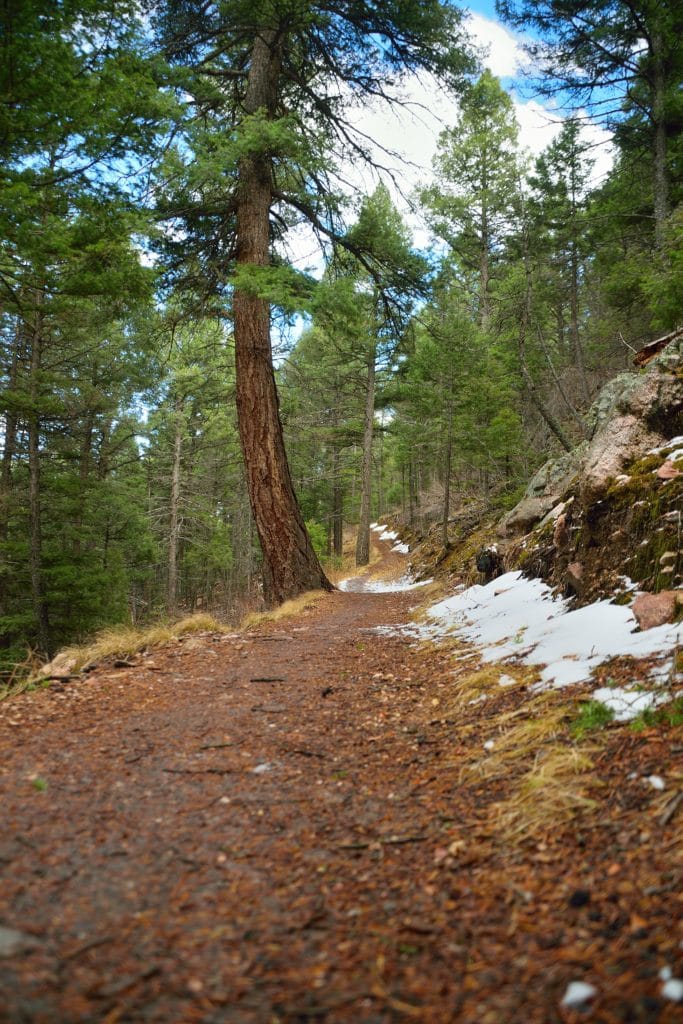 Reynolds Park Colorado Hiking Guide - Virtual Sherpa