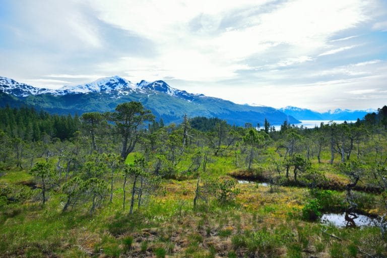Mt Jumbo (Mt Bradley) Alaska Hike Guide - Virtual Sherpa