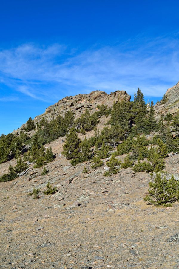 Chief Mountain Colorado Hike Guide - Virtual Sherpa