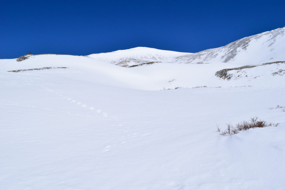 Mt. Sherman Winter 14er Hike Trail Guide - Virtual Sherpa