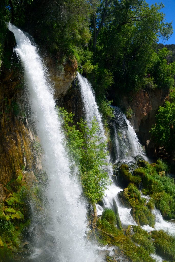 Rifle Falls State Park Hiking Trail Guide - Virtual Sherpa