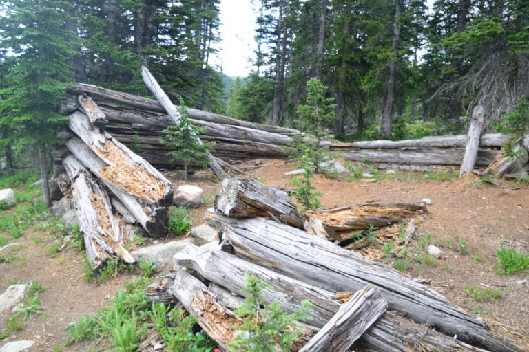 Hagerman Tunnel & Lake Colorado Hike Trail Guide - Virtual Sherpa