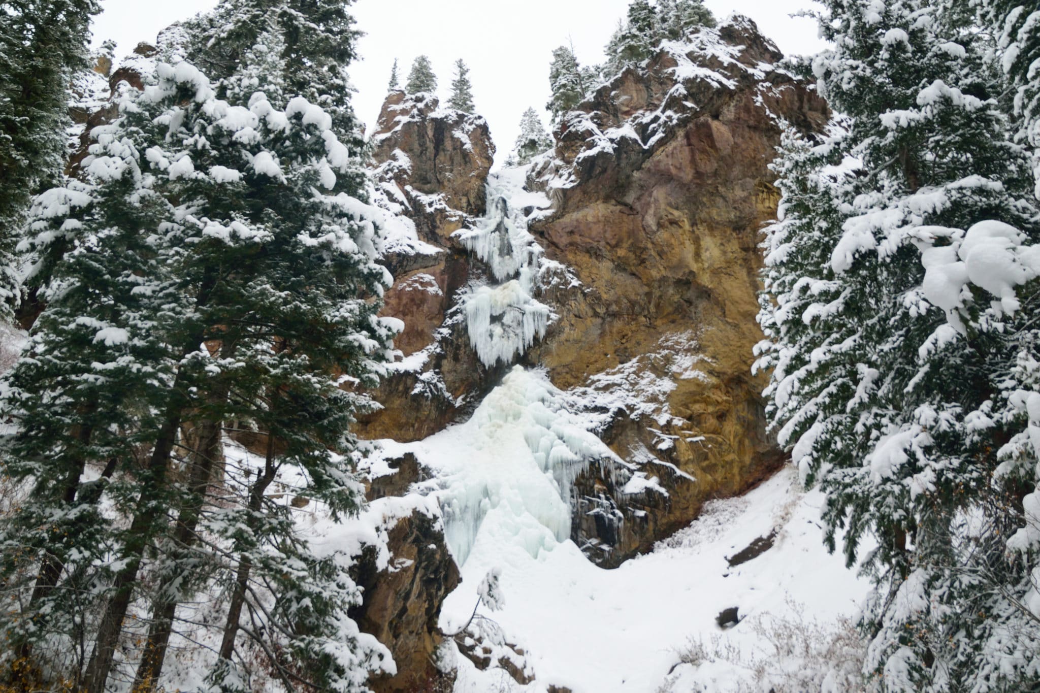 Treasure Falls Colorado Waterfall Hike Guide - Virtual Sherpa
