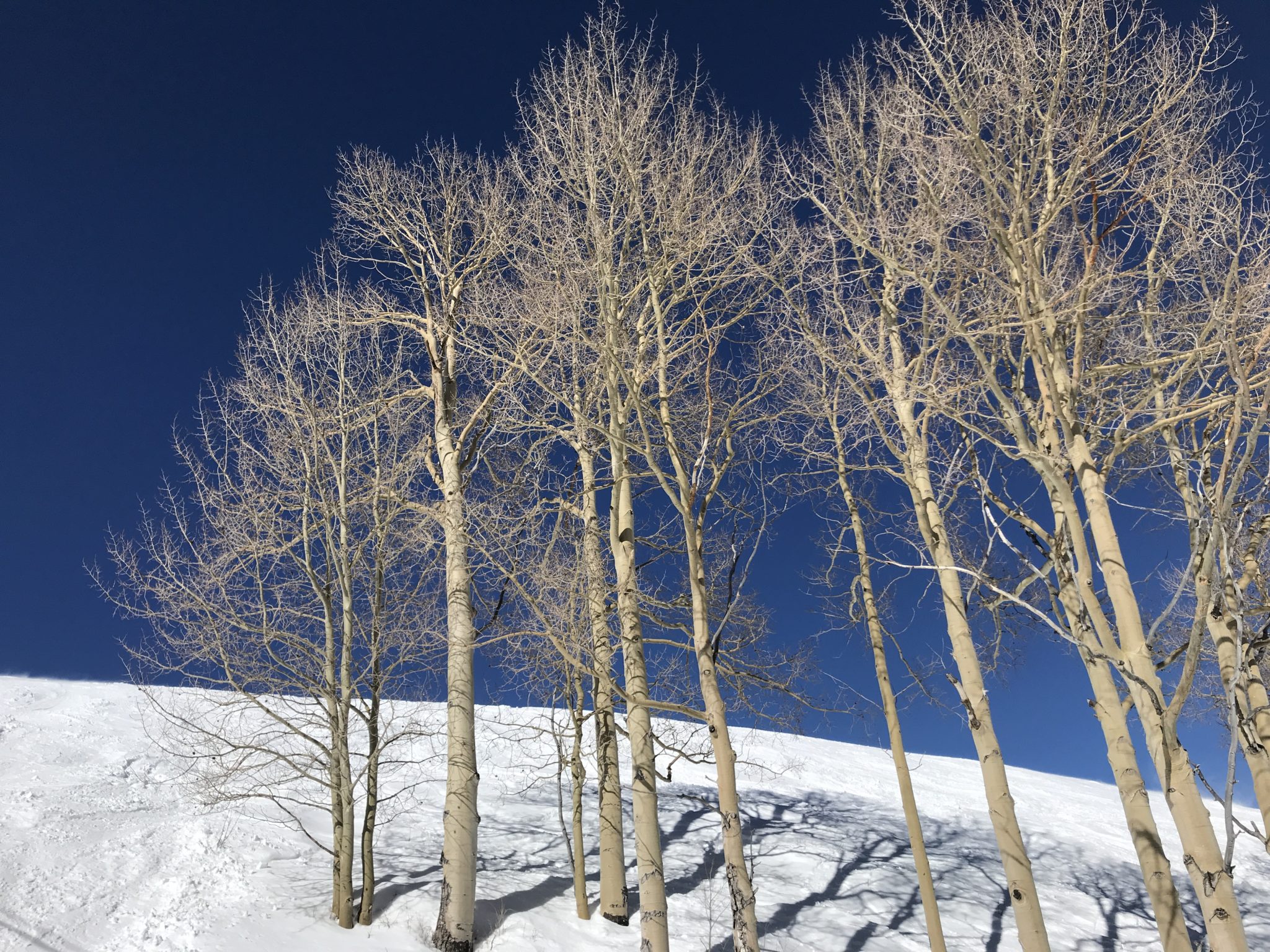 Aspen Ski Resort Information & Review - Virtual Sherpa