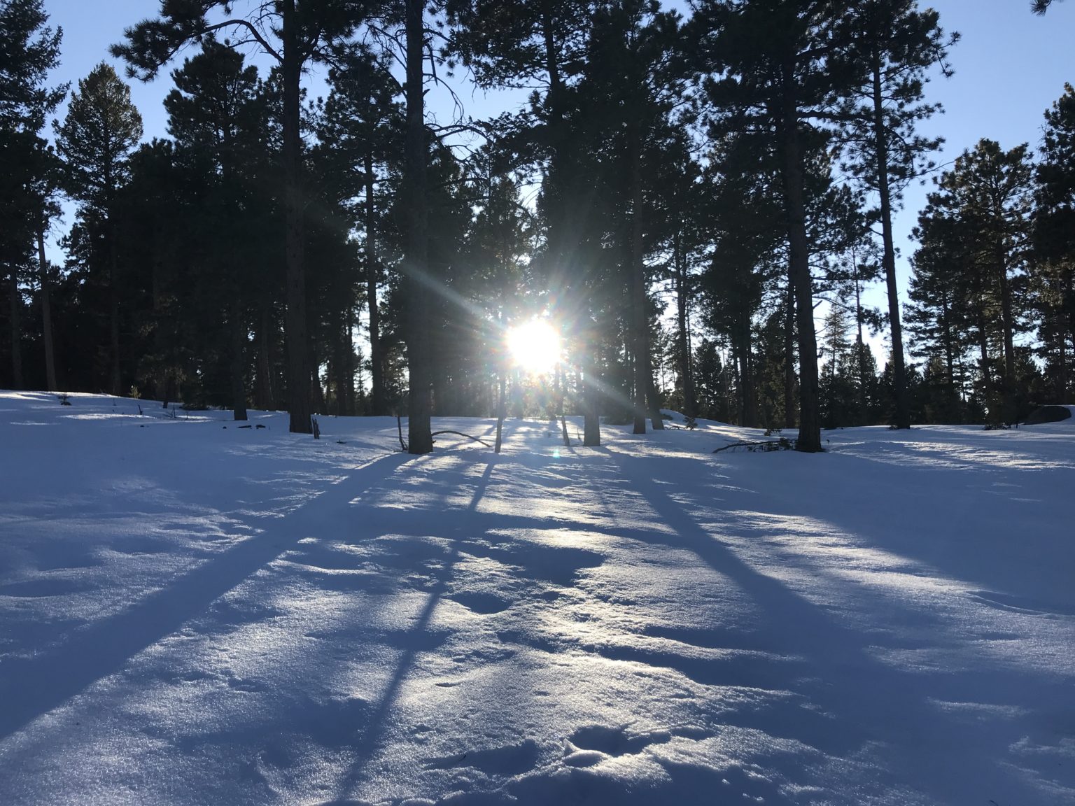 Berrian Mountain Hike Trail Guide & Information - Virtual Sherpa