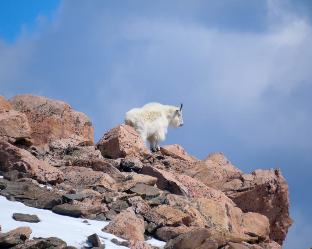 Mt Blue Sky 14er Hike Guide From Echo & Summit Lake - Virtual Sherpa