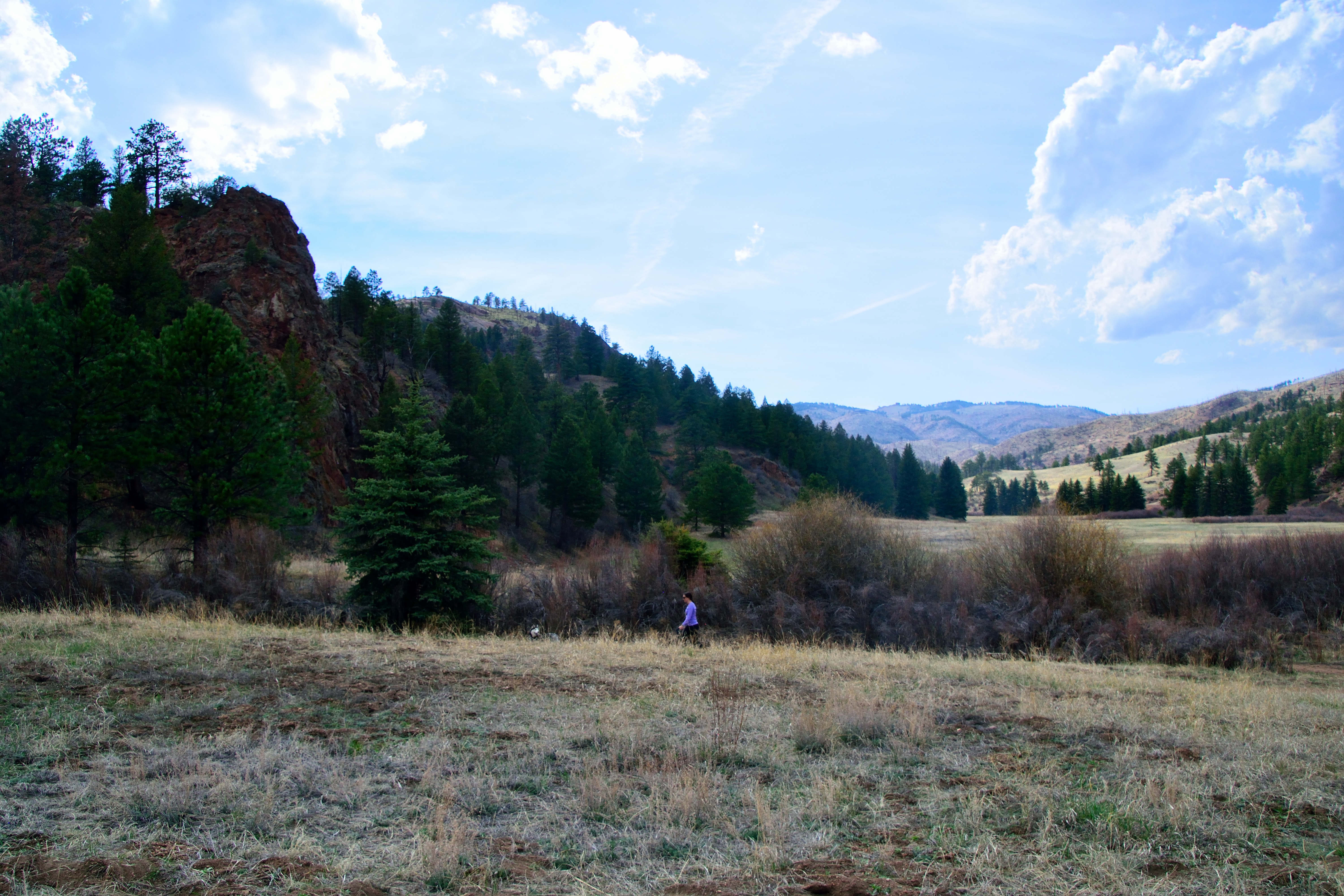Pine Valley Ranch Park Hike Guide - Virtual Sherpa