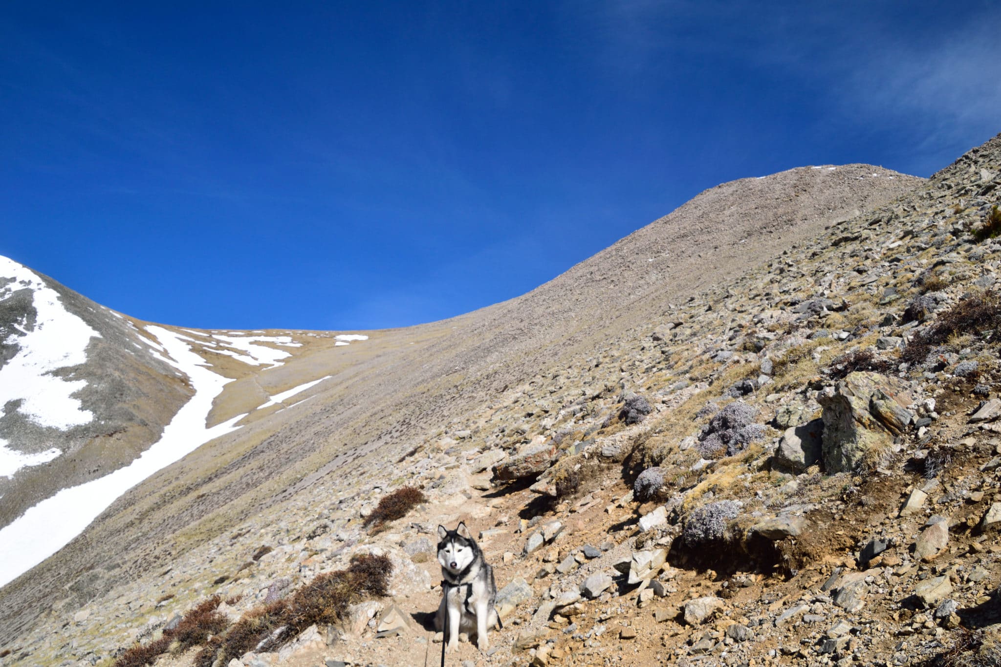 Mt Shavano & Tabeguache Peak 14er Trail Guide - Virtual Sherpa