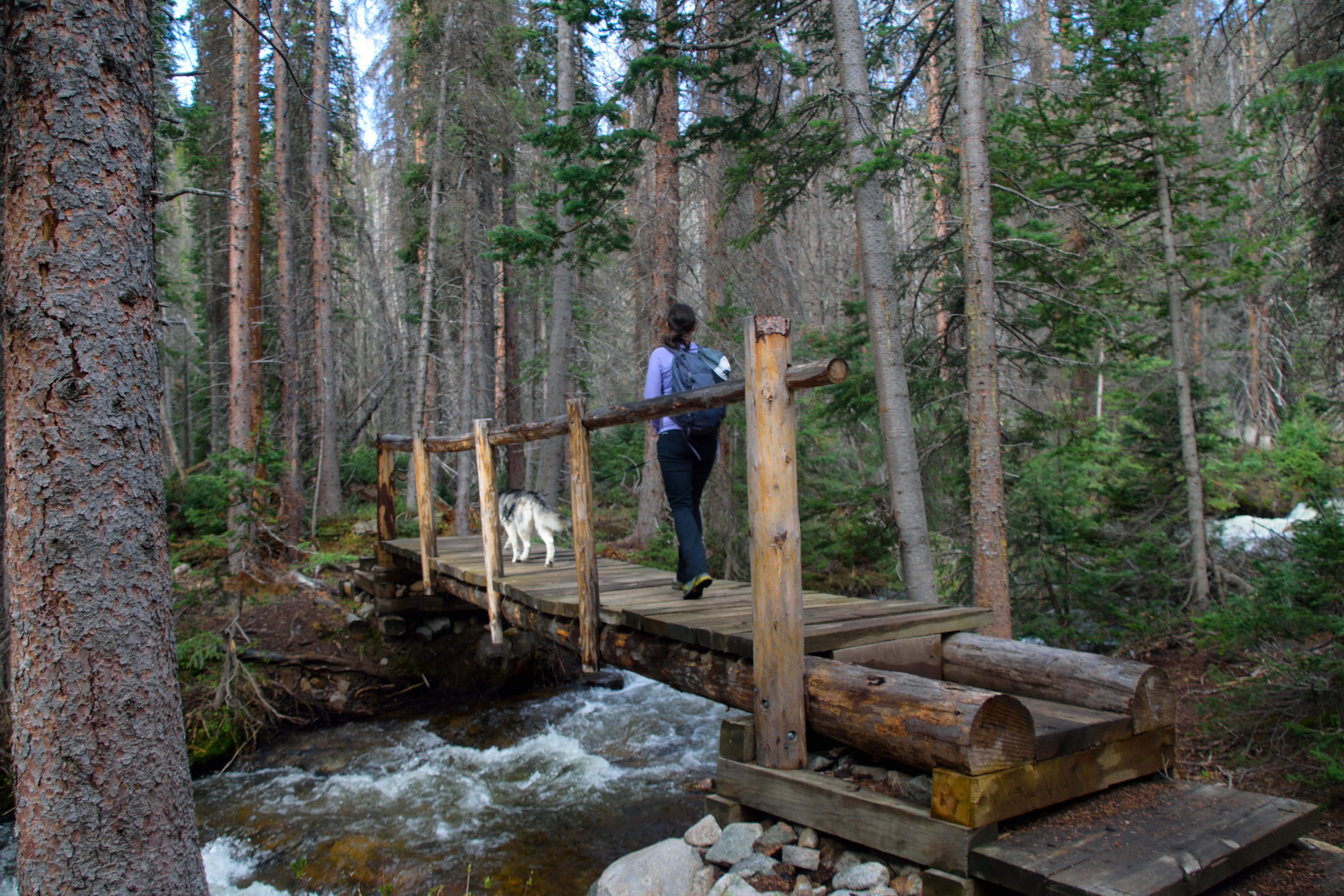 Boss Lake & Hunt Lake Trail Guide - Virtual Sherpa