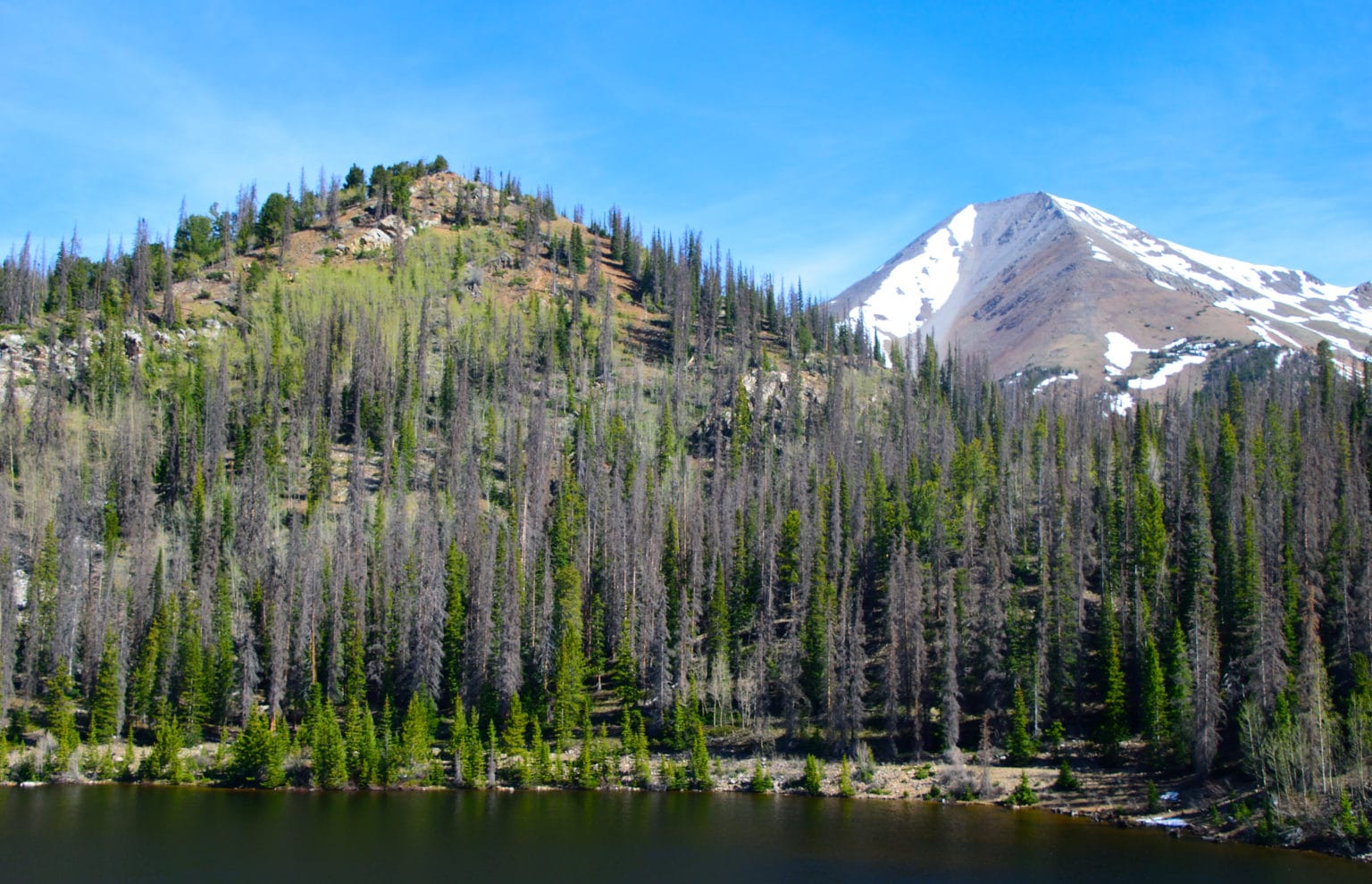 Boss Lake & Hunt Lake Trail Guide - Virtual Sherpa