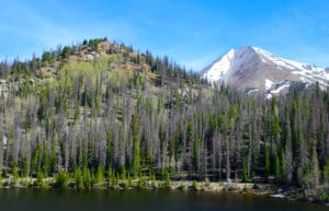 Boss Lake & Hunt Lake Trail Guide - Virtual Sherpa