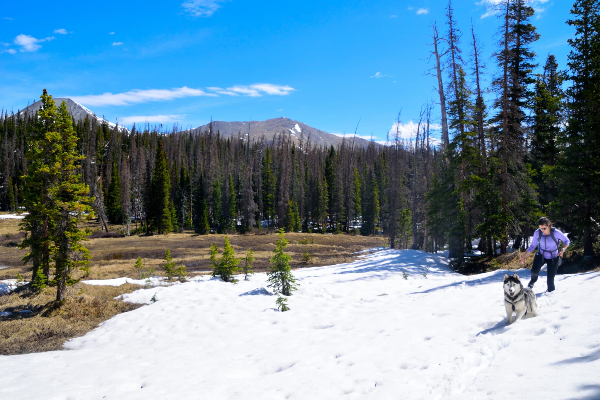 Boss Lake & Hunt Lake Trail Guide - Virtual Sherpa