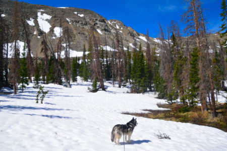 Boss Lake & Hunt Lake Trail Guide - Virtual Sherpa