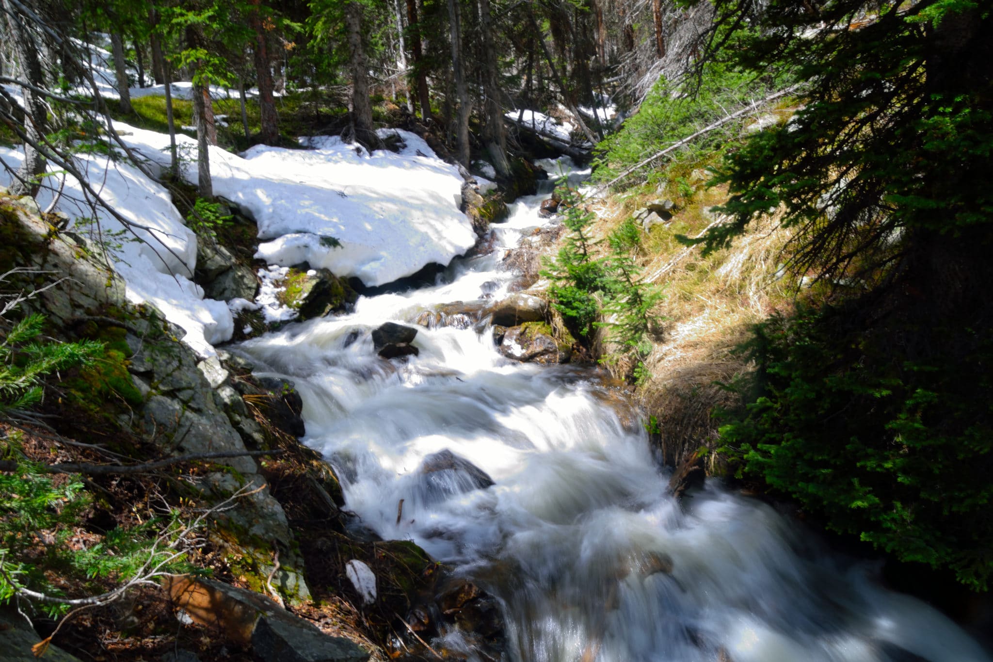 Boss Lake & Hunt Lake Trail Guide - Virtual Sherpa