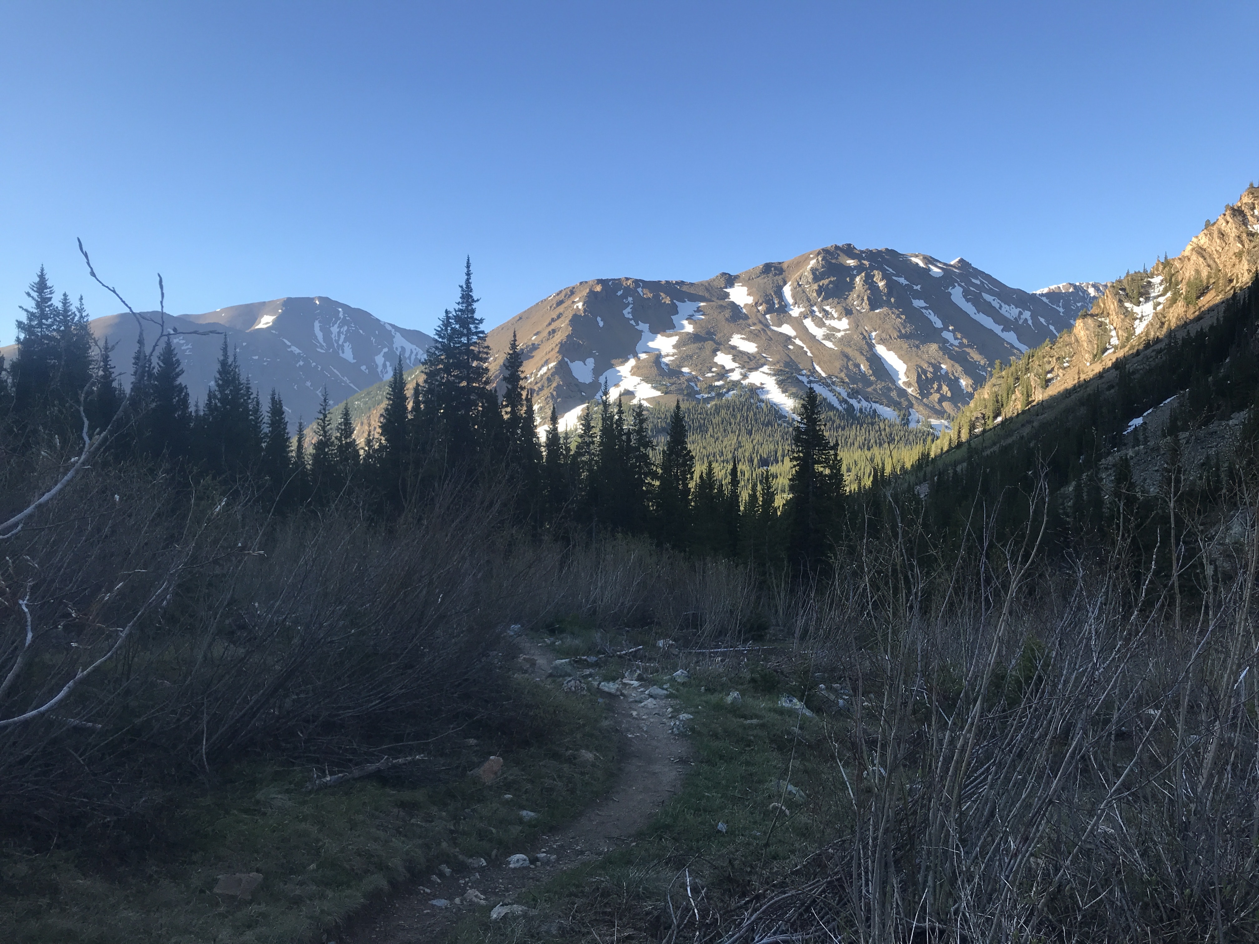Mt Massive Southwest Slopes 14er Trail Guide - Virtual Sherpa