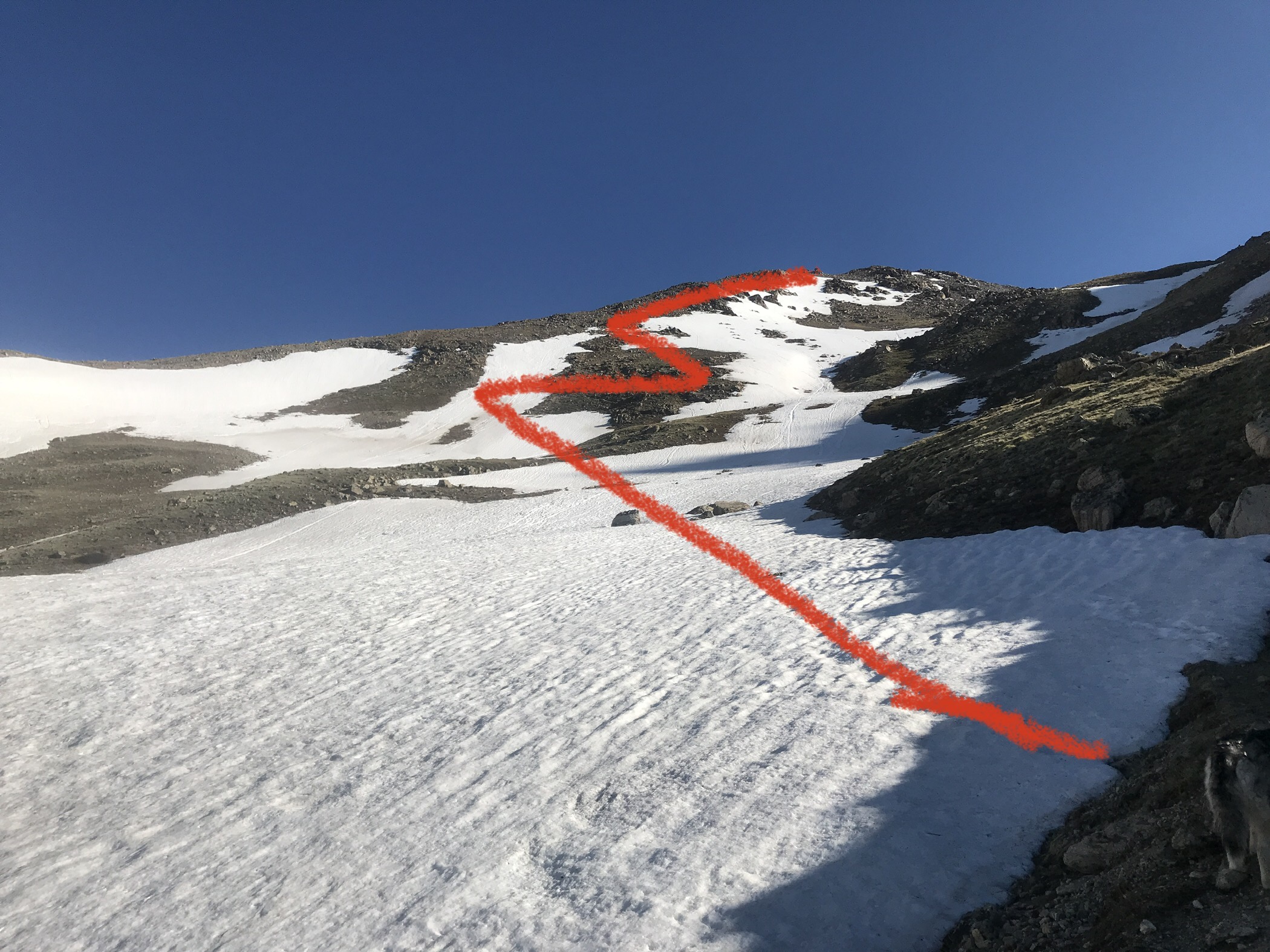 Mt Massive Southwest Slopes 14er Trail Guide - Virtual Sherpa