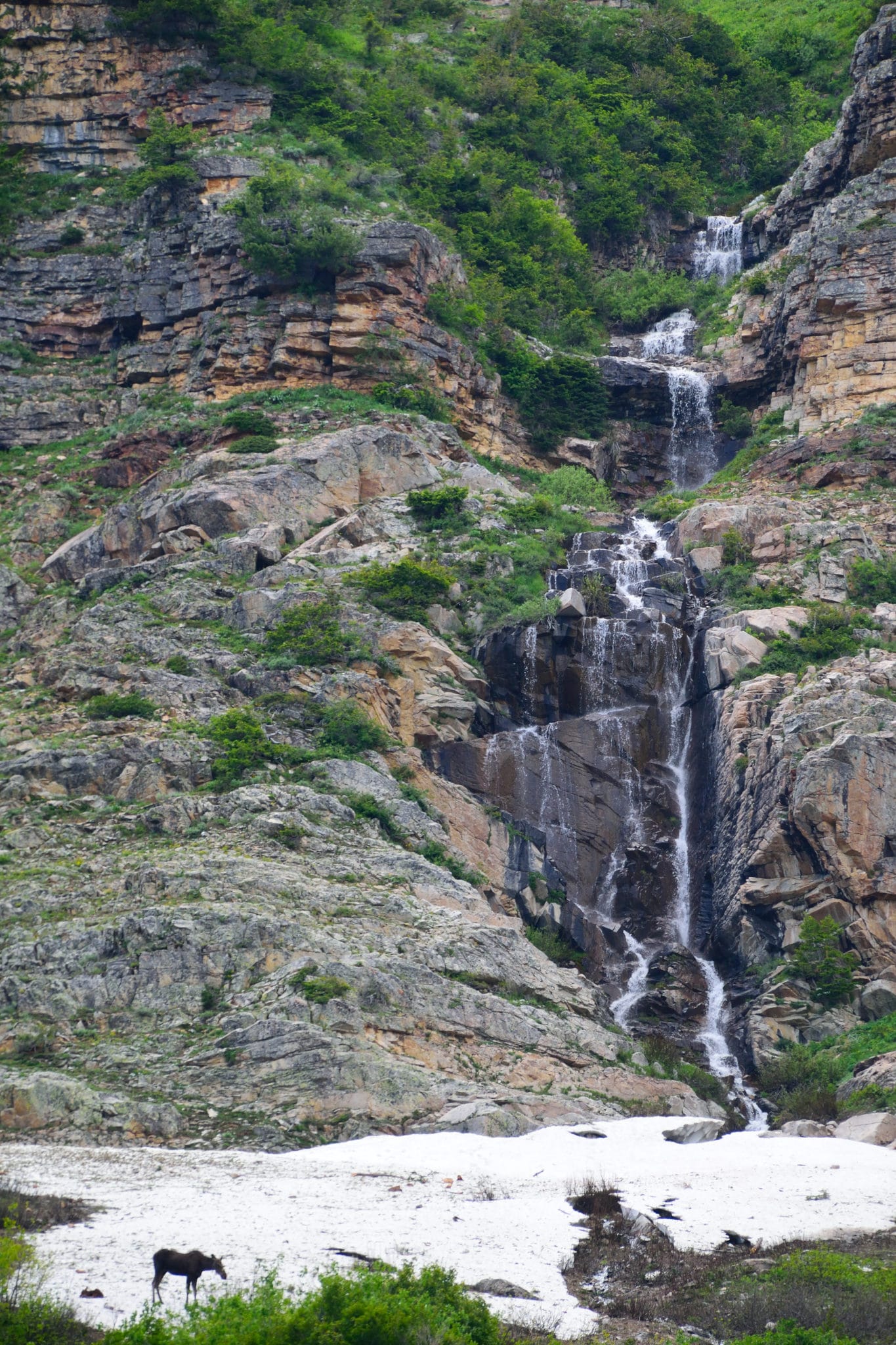 Devil's Staircase Wyoming Hike Trail Guide - Virtual Sherpa