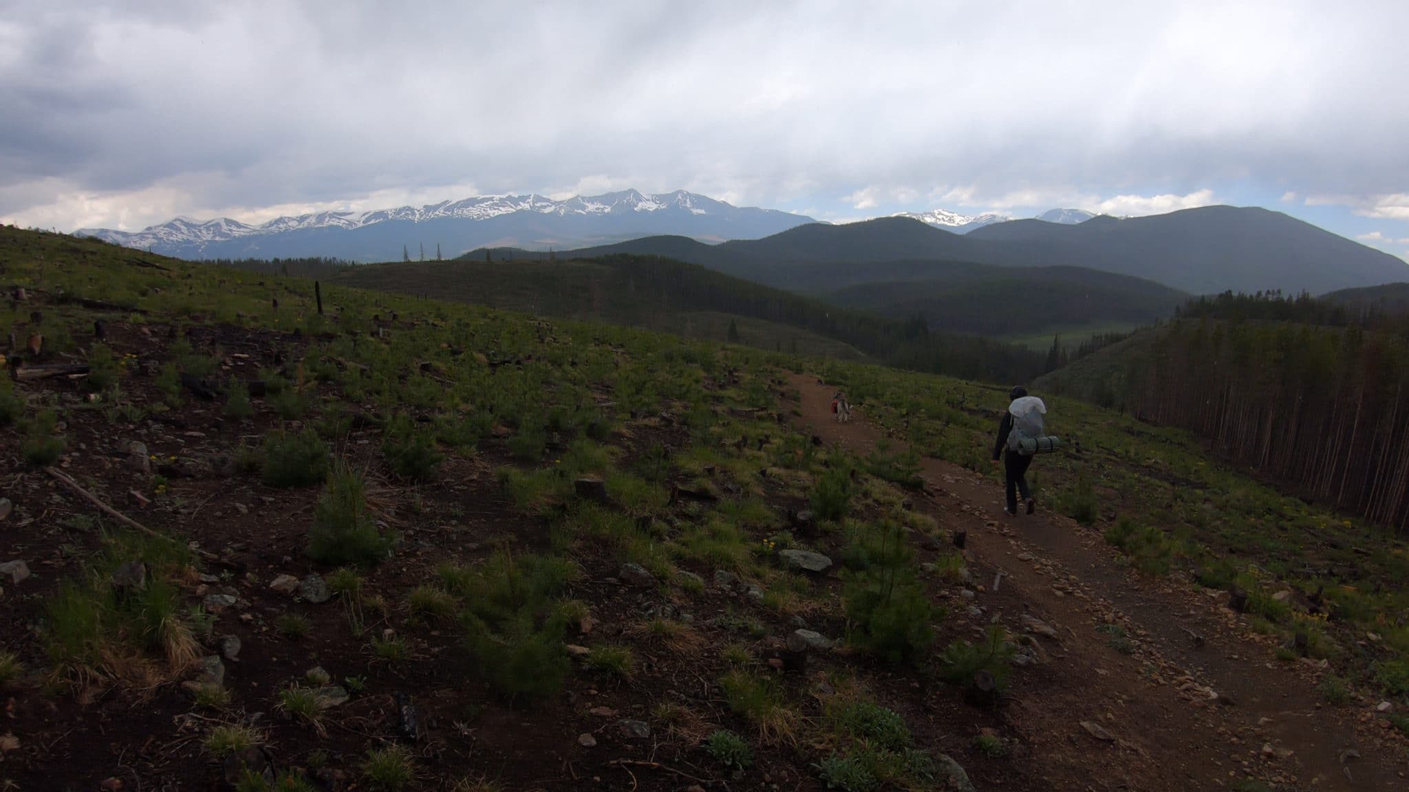 Colorado Trail Segment 6 Hiking Trail Guide - Virtual Sherpa