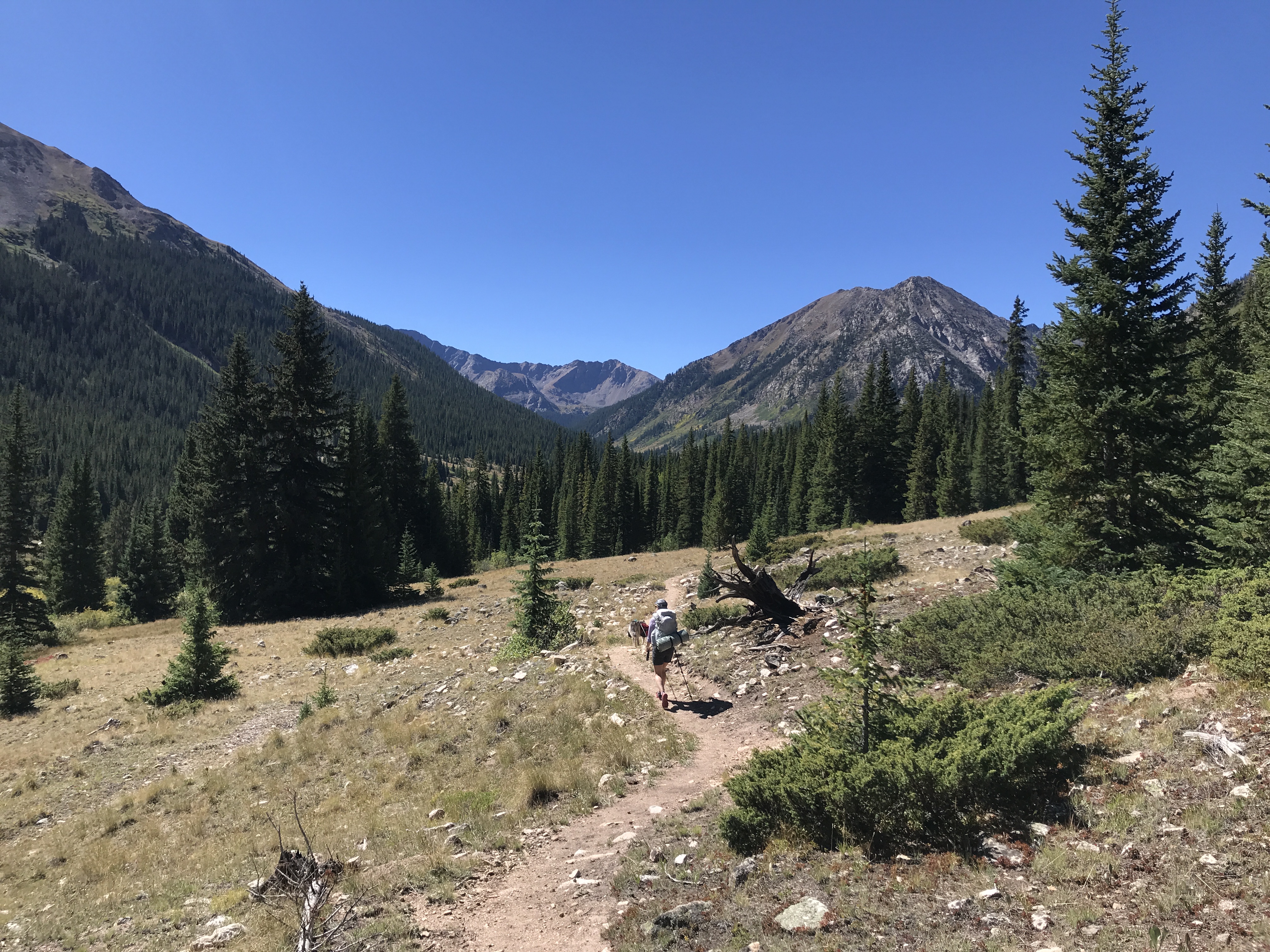 Collegiate Peaks West 2 Colorado Trail Guide - Virtual Sherpa