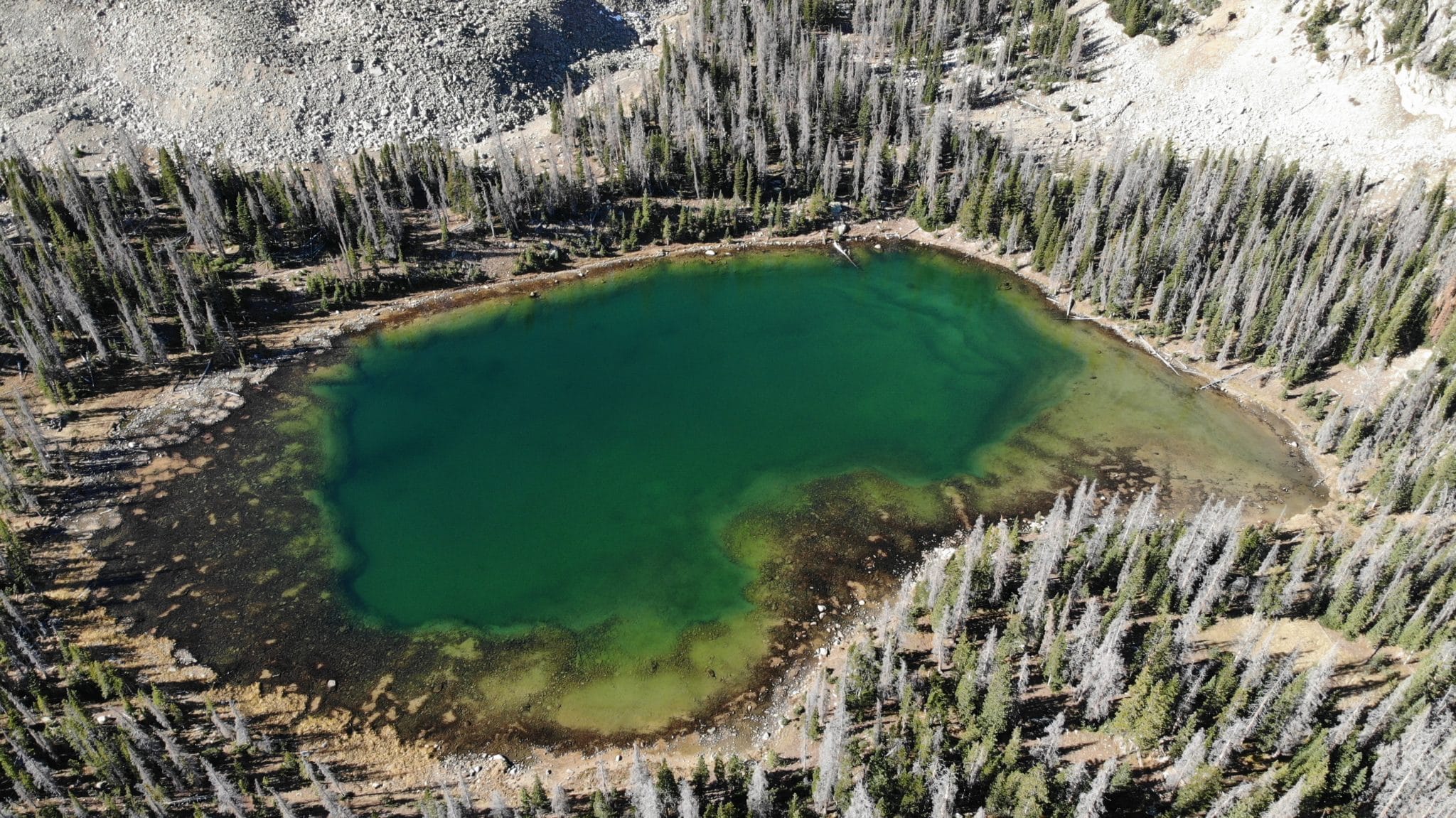 Boss Lake & Hunt Lake Trail Guide - Virtual Sherpa