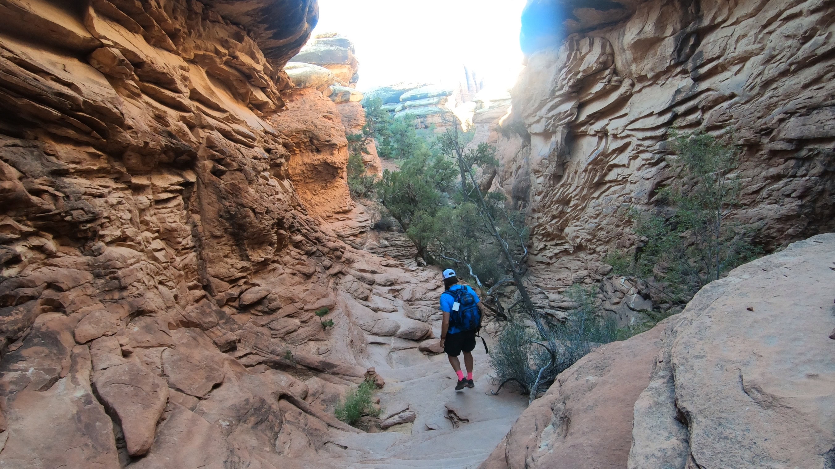 Needles District Canyonlands National Park Hike Guide - Virtual Sherpa