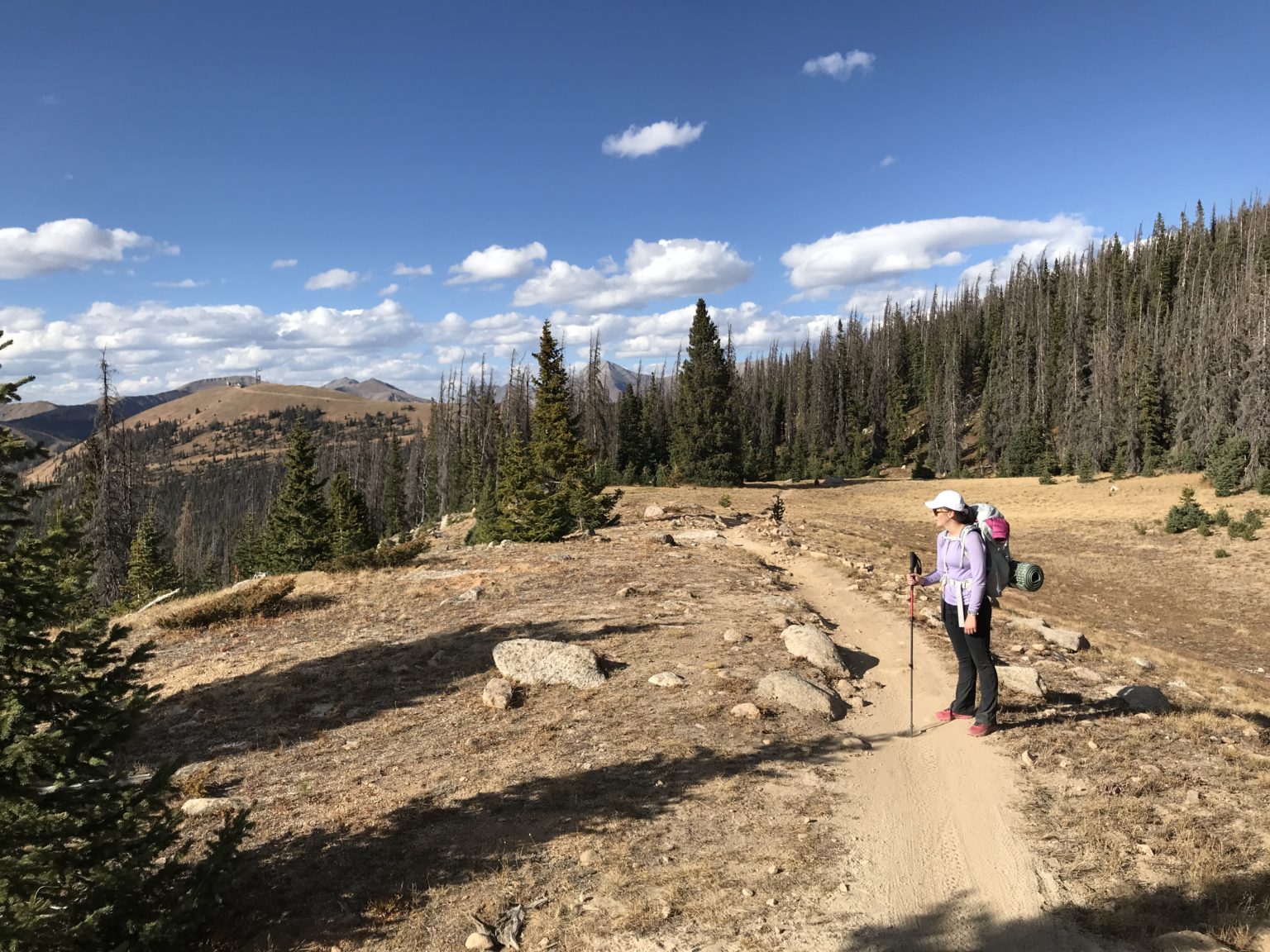 Collegiate Peaks West 5 & Segment 15 Colorado Trail Guide - Virtual Sherpa