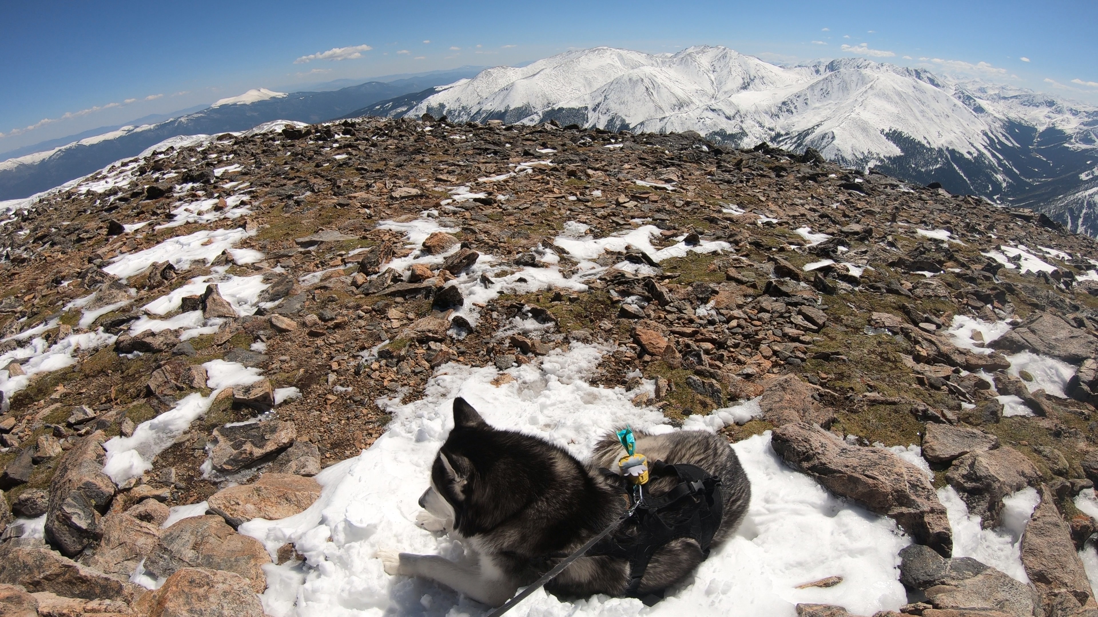 Mt Hope Colorado 13er Hike Trail Guide - Virtual Sherpa