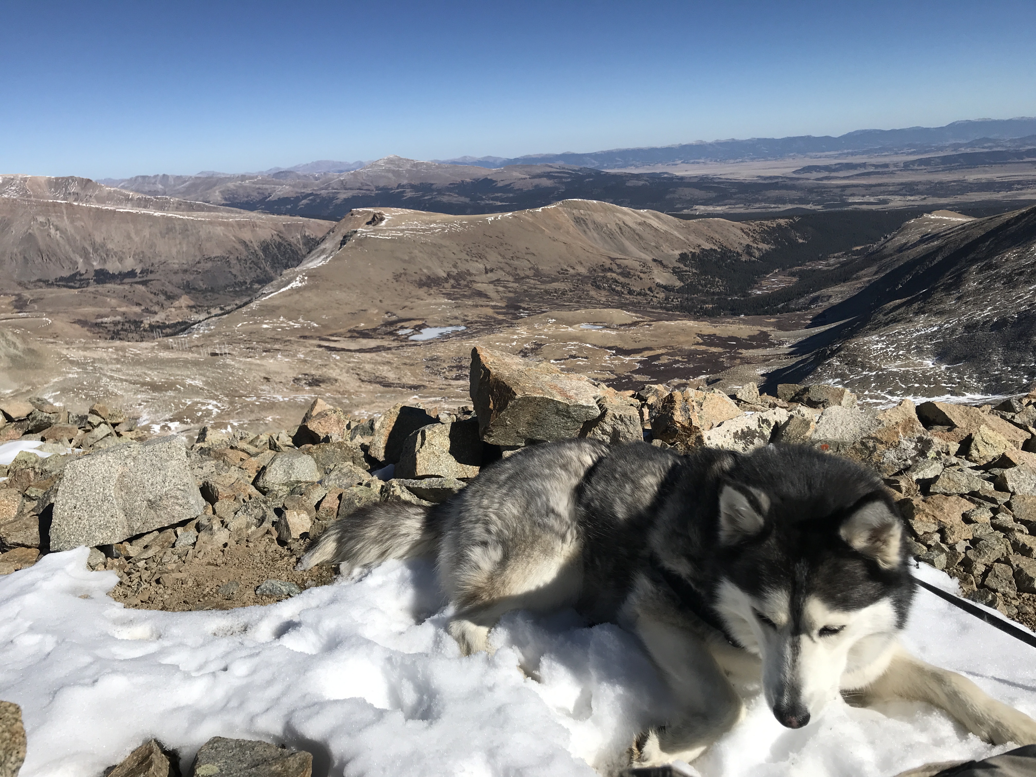 Dyer Mountain 13er Hike Trail Guide - Virtual Sherpa