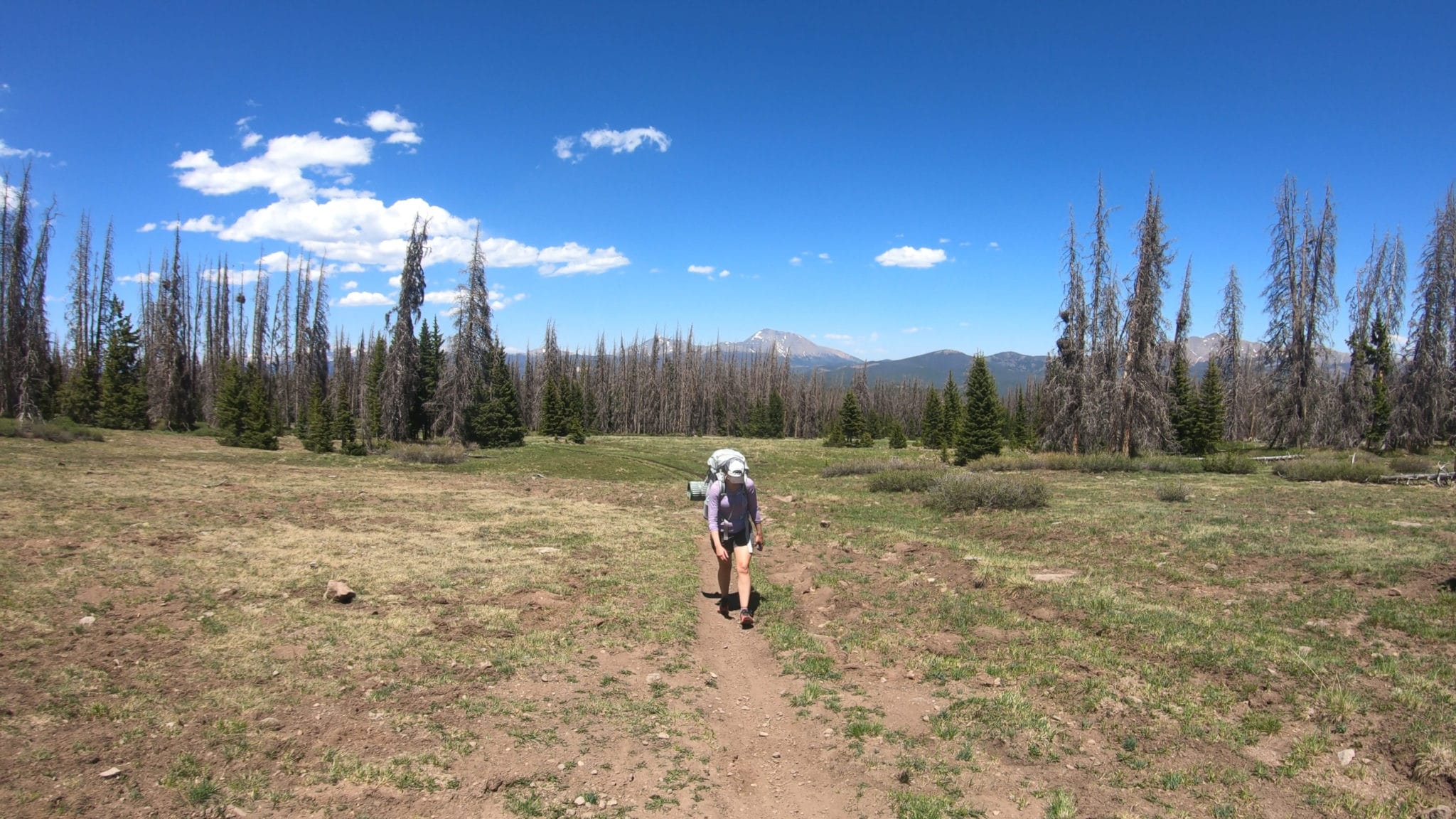 Colorado Trail Segments 16 & 17 Hike Guide - Virtual Sherpa
