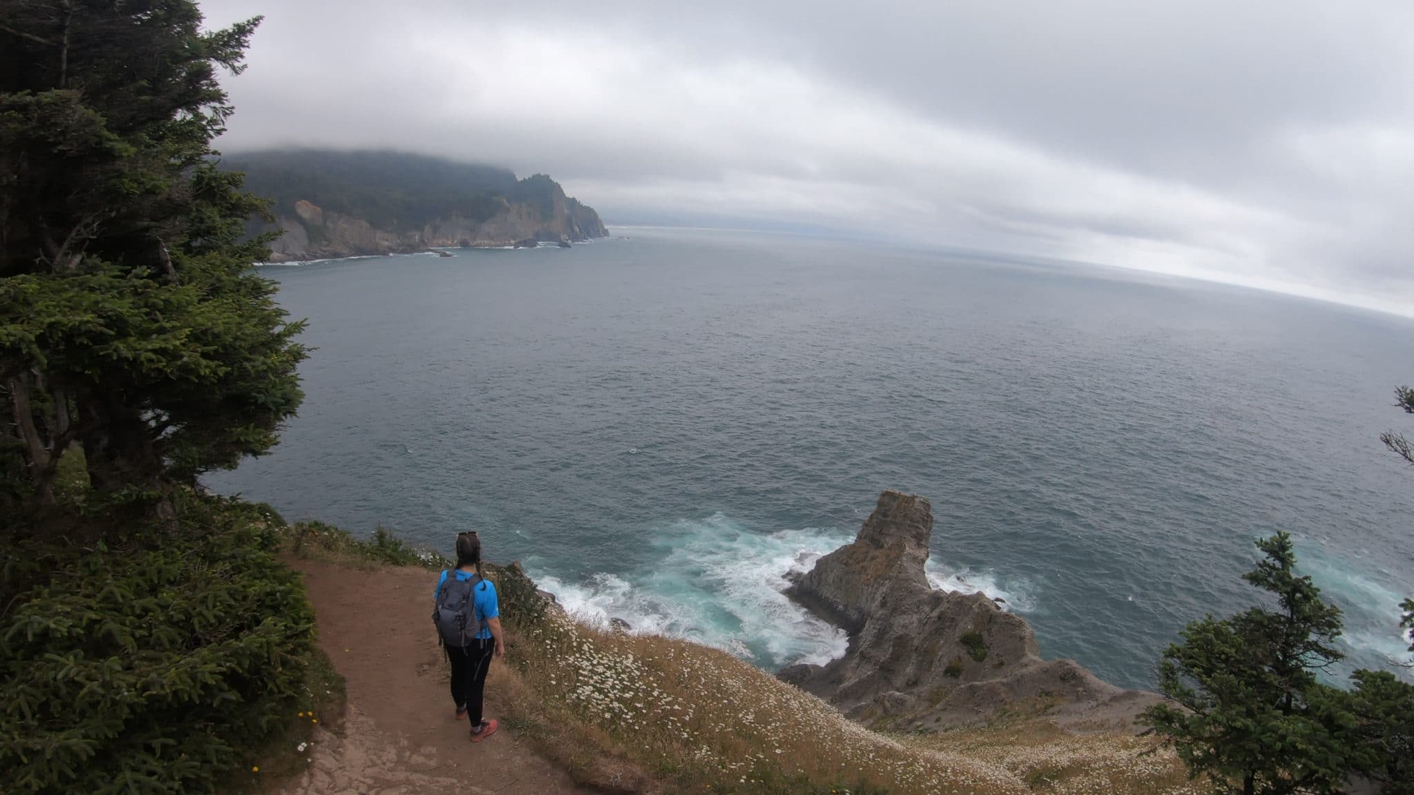Cape Falcon Oregon Coast Hike Guide - Virtual Sherpa