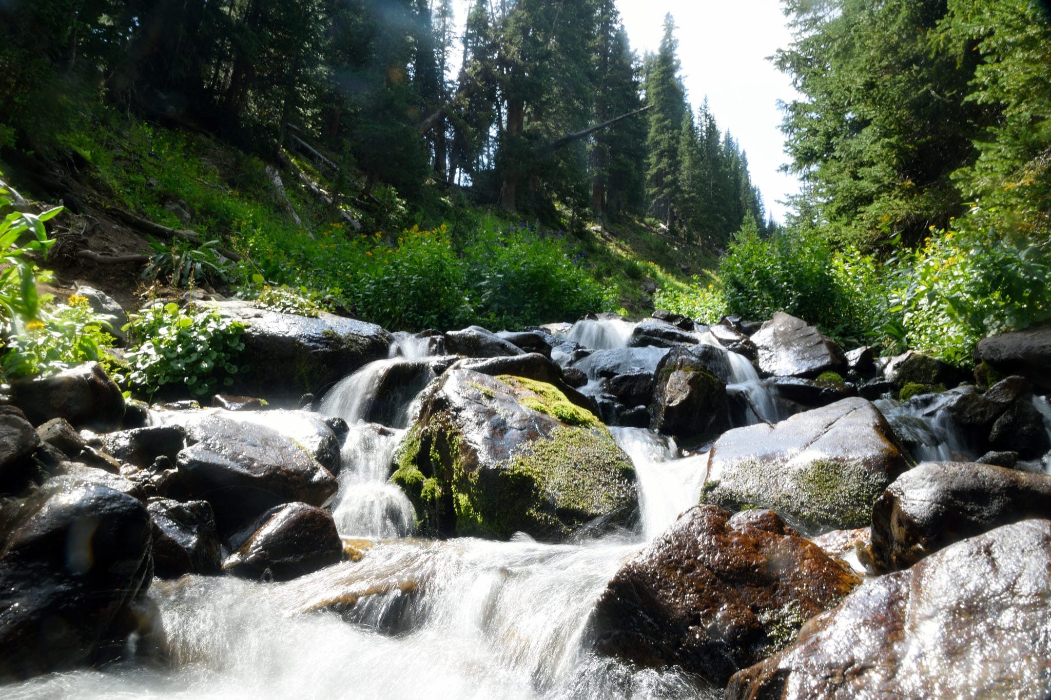 Butler Gulch Colorado Hike Guide - Virtual Sherpa