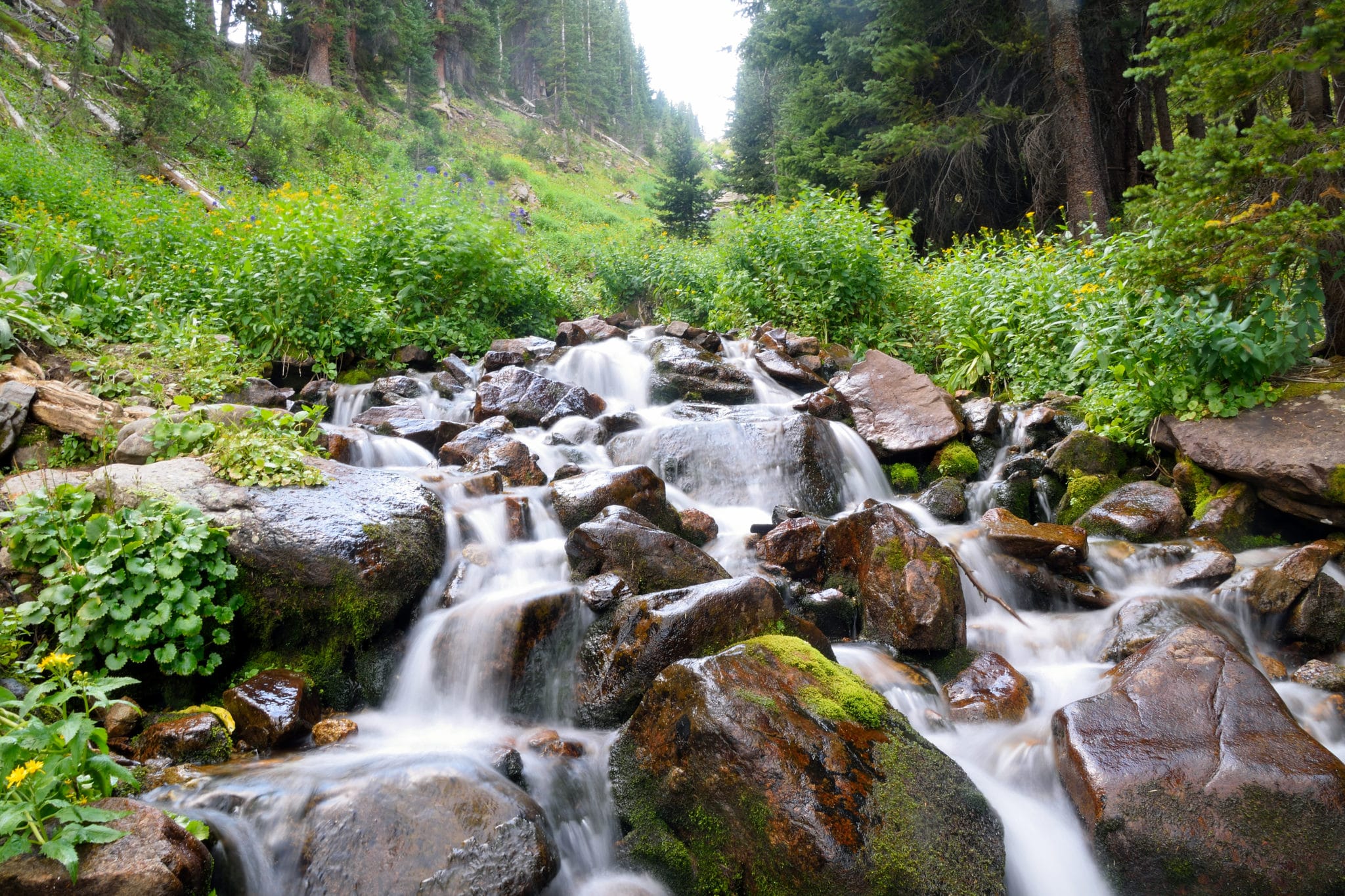 Butler Gulch Colorado Hike Guide - Virtual Sherpa