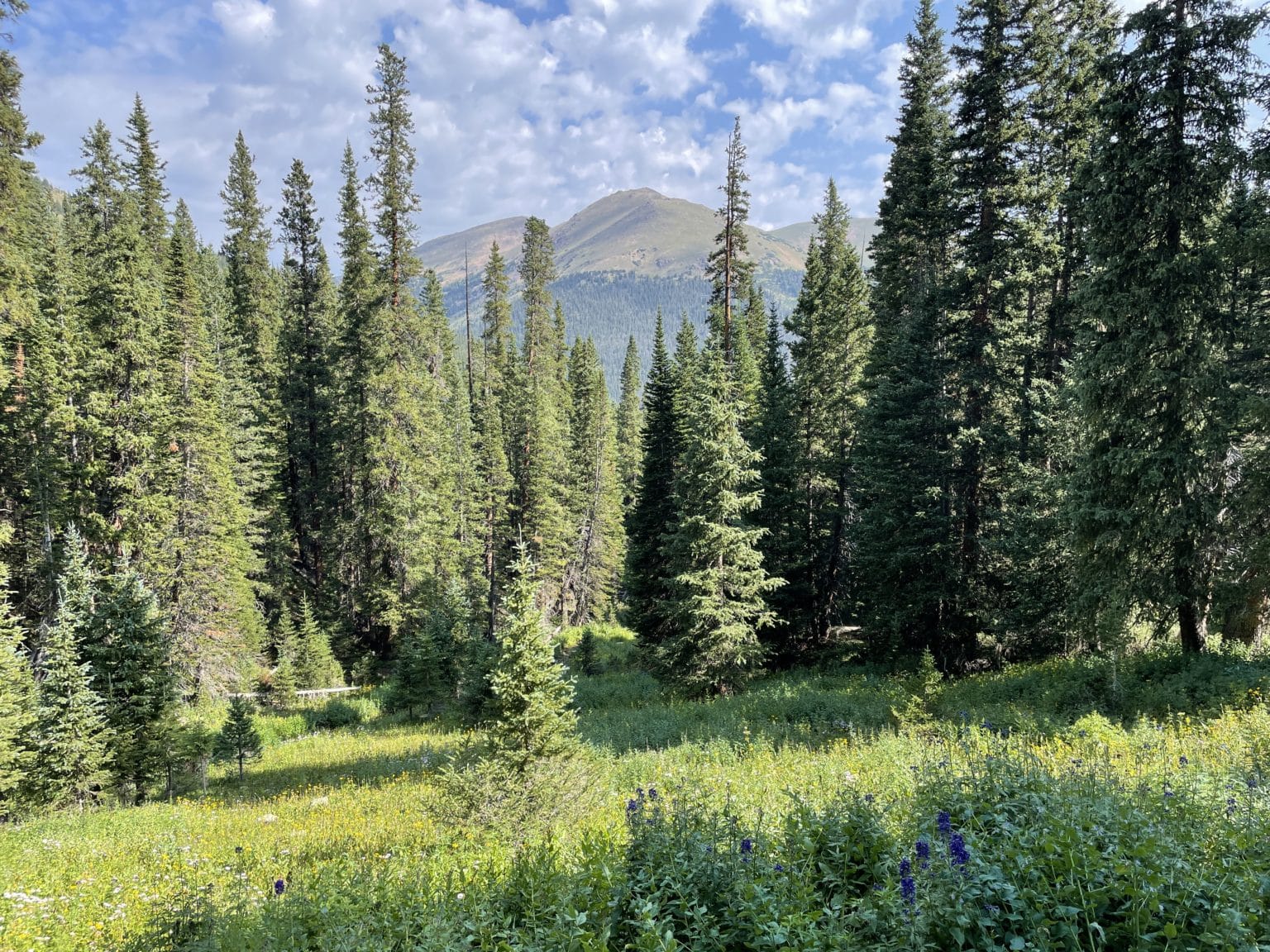 Butler Gulch Colorado Hike Guide - Virtual Sherpa