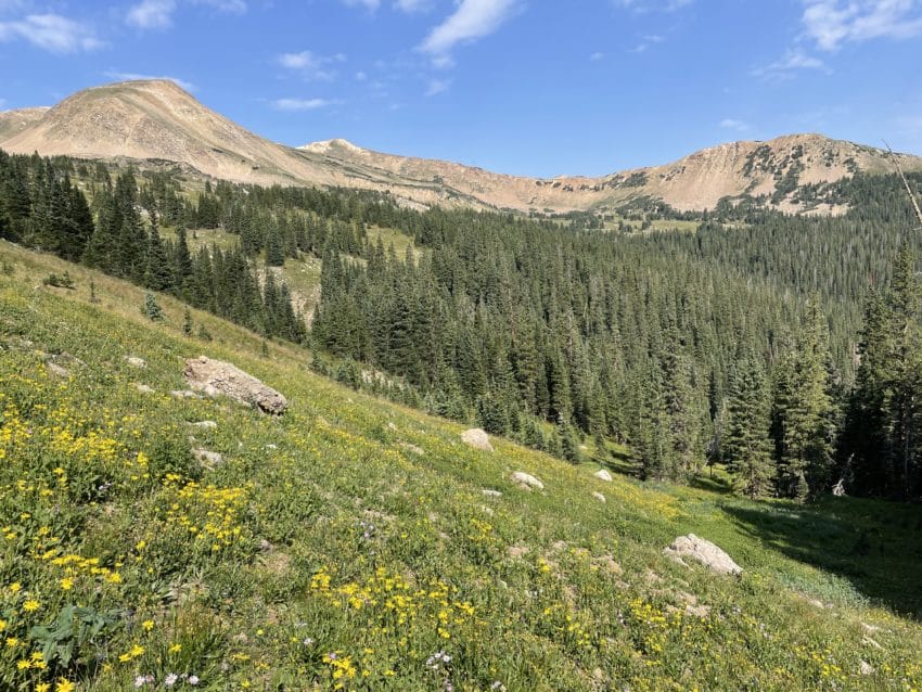 Butler Gulch Colorado Hike Guide - Virtual Sherpa