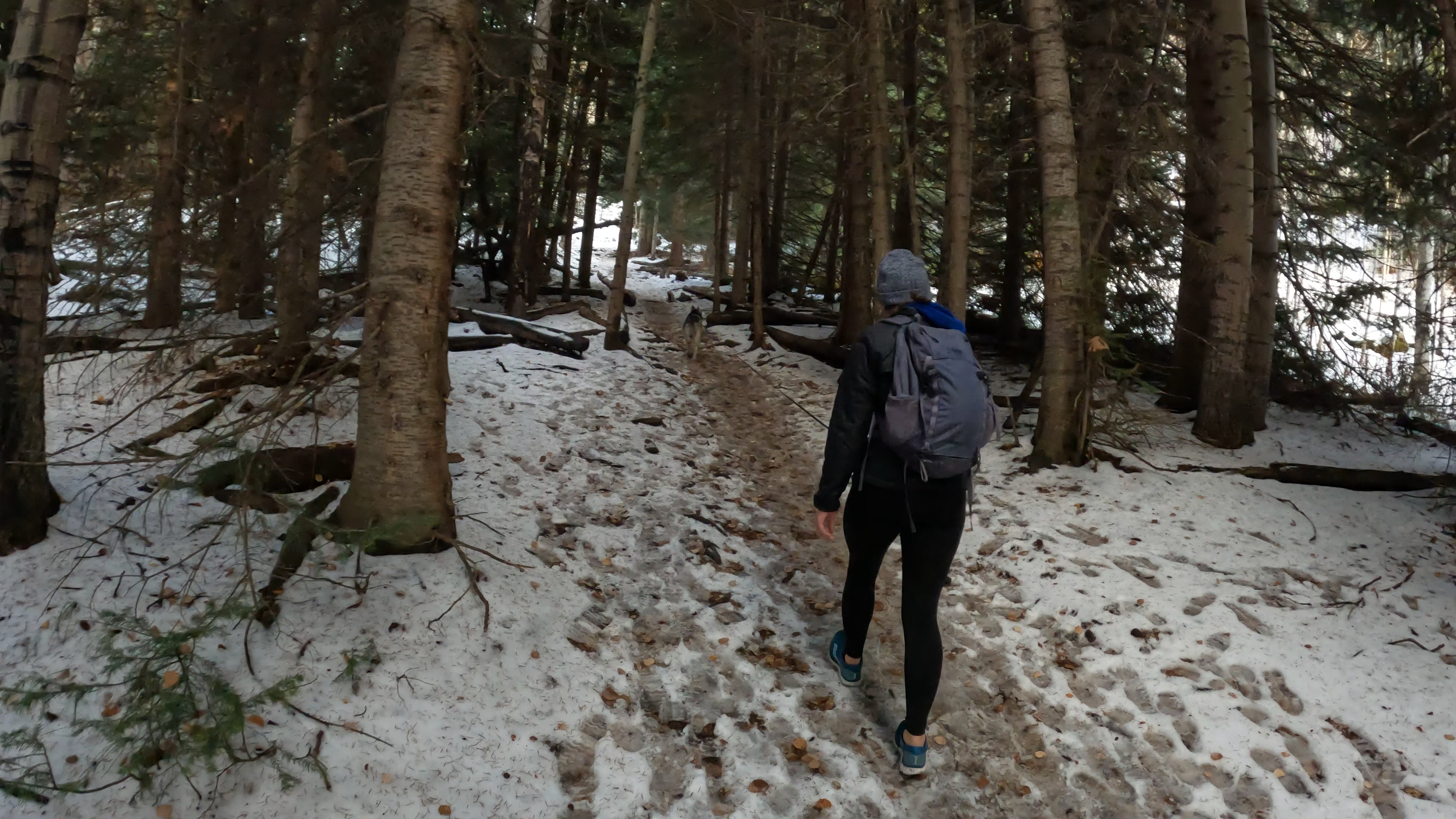 Booth Falls Vail Colorado Hike Guide - Virtual Sherpa