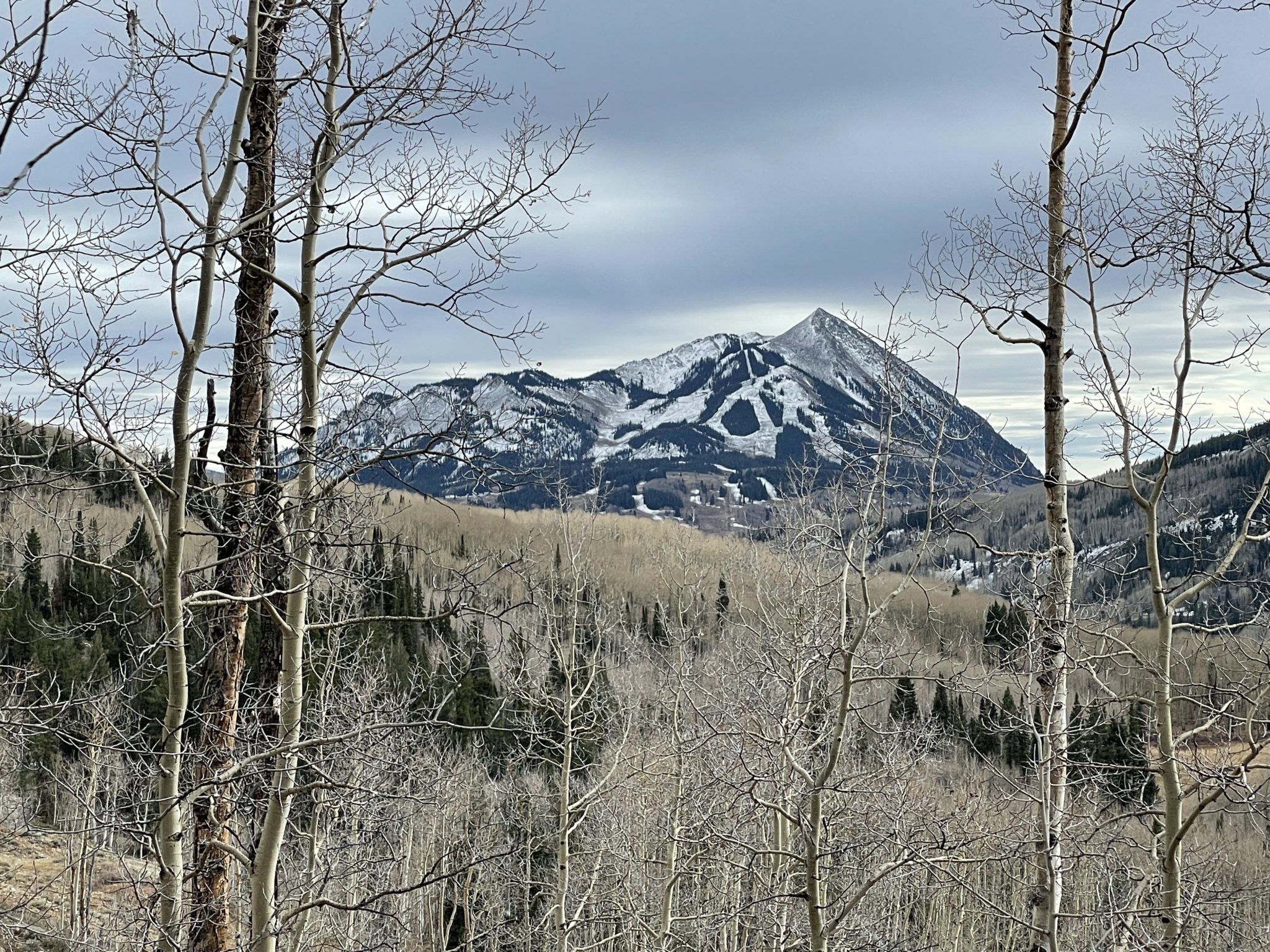 Judd Falls Crested Butte Colorado Hike Guide - Virtual Sherpa