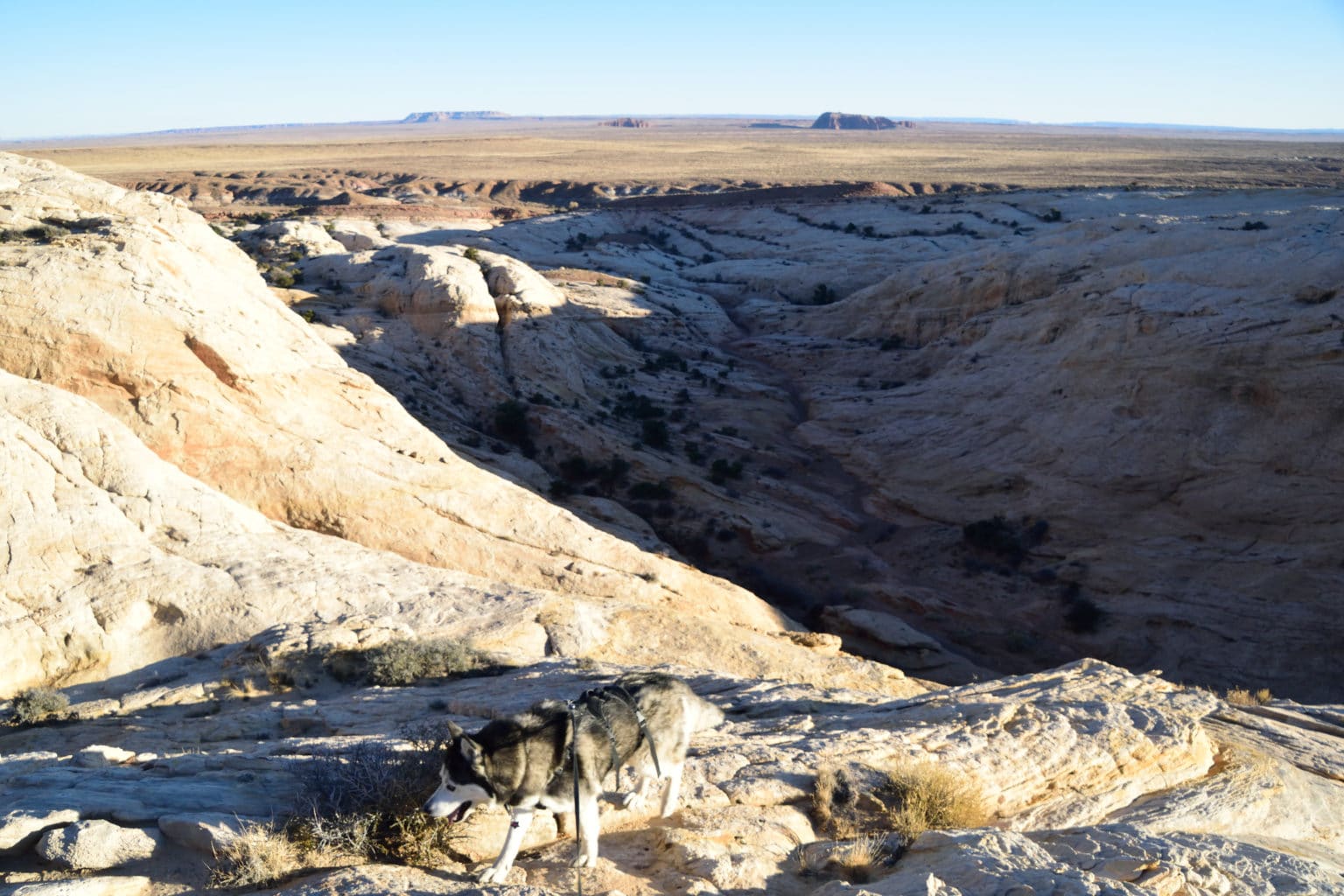 Wild Horse Window Utah Hike Guide - Virtual Sherpa