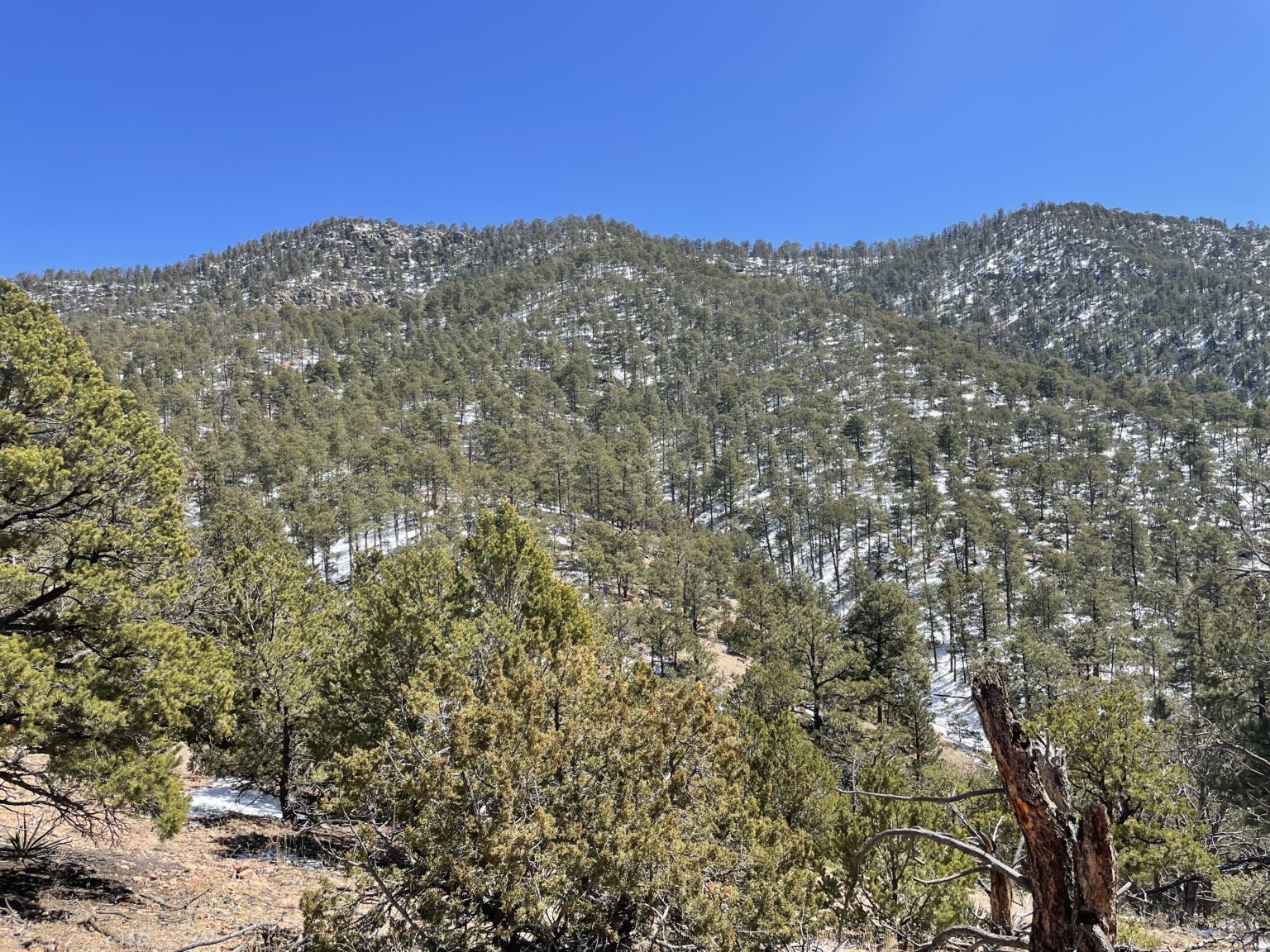 Atalaya Mountain Sante Fe Hike Guide - Virtual Sherpa