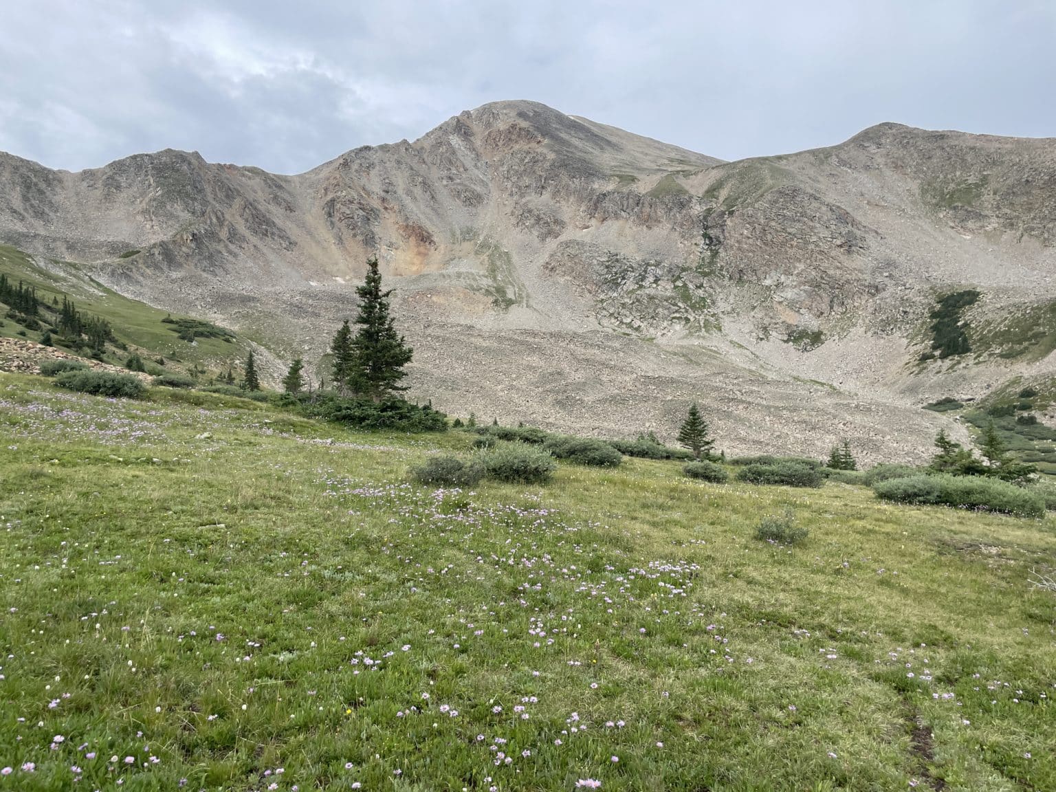 Hope Pass Colorado Hike Guide - Virtual Sherpa