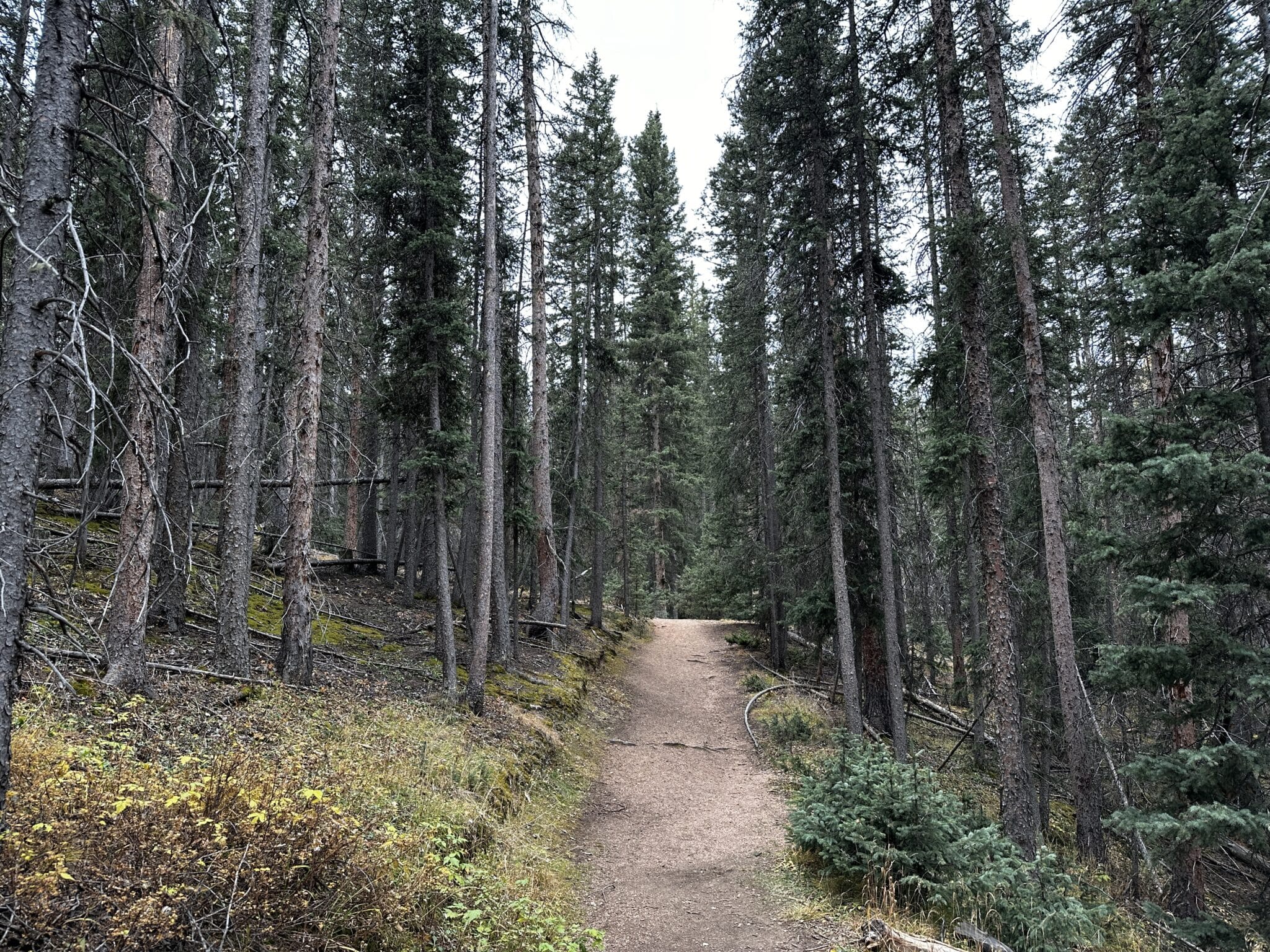 Raspberry Mountain Colorado Hike Guide - Virtual Sherpa