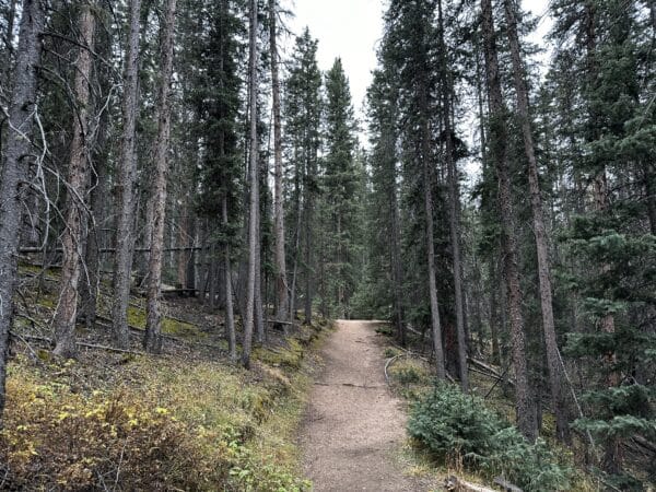 Raspberry Mountain Colorado Hike Guide - Virtual Sherpa