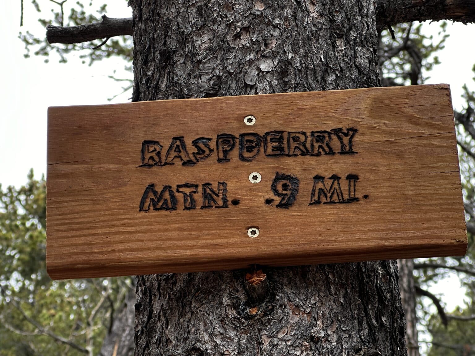 Raspberry Mountain Colorado Hike Guide - Virtual Sherpa